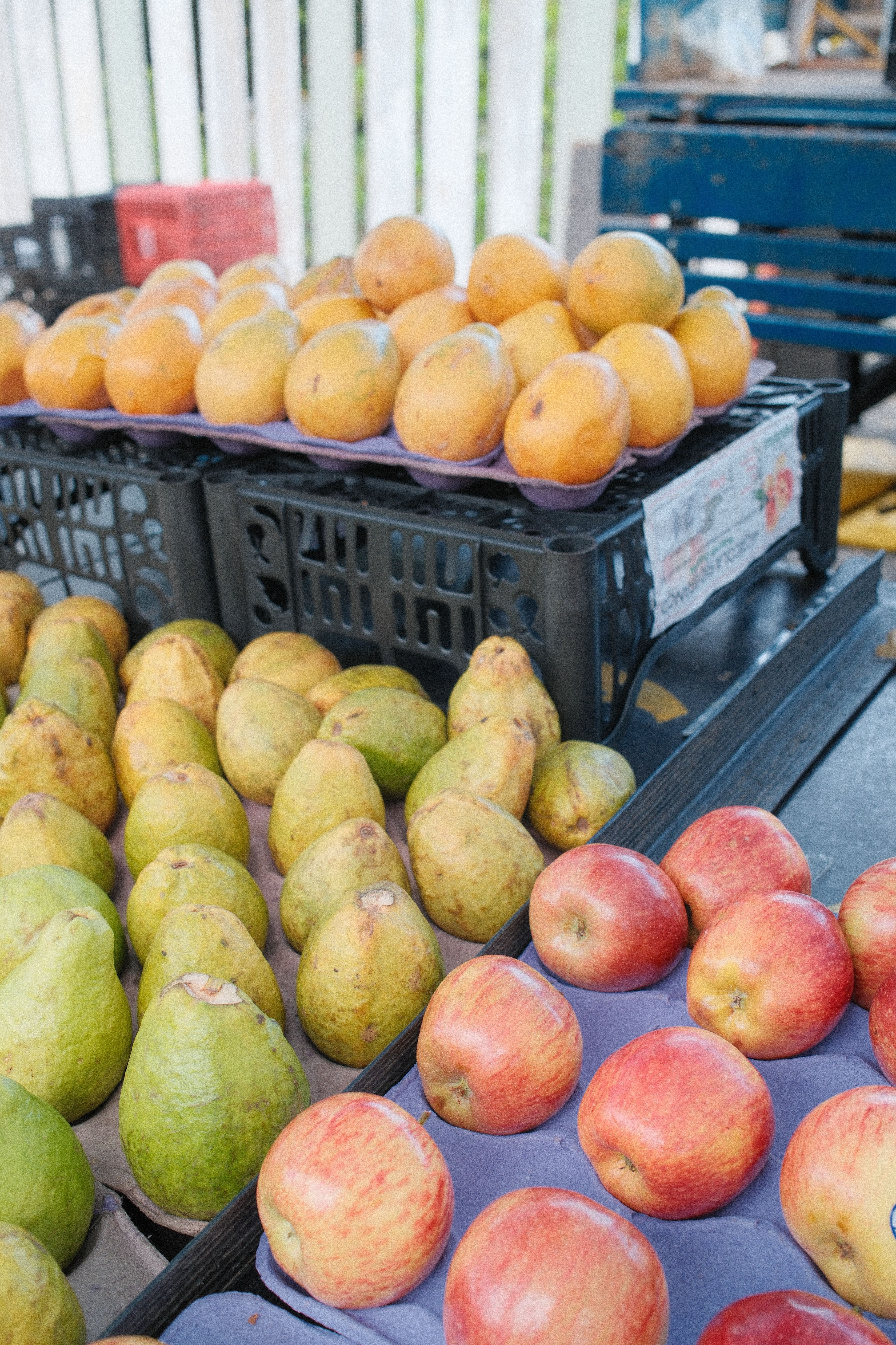 Fresh Fruits Display at Local Market Stall · Free Stock Photo