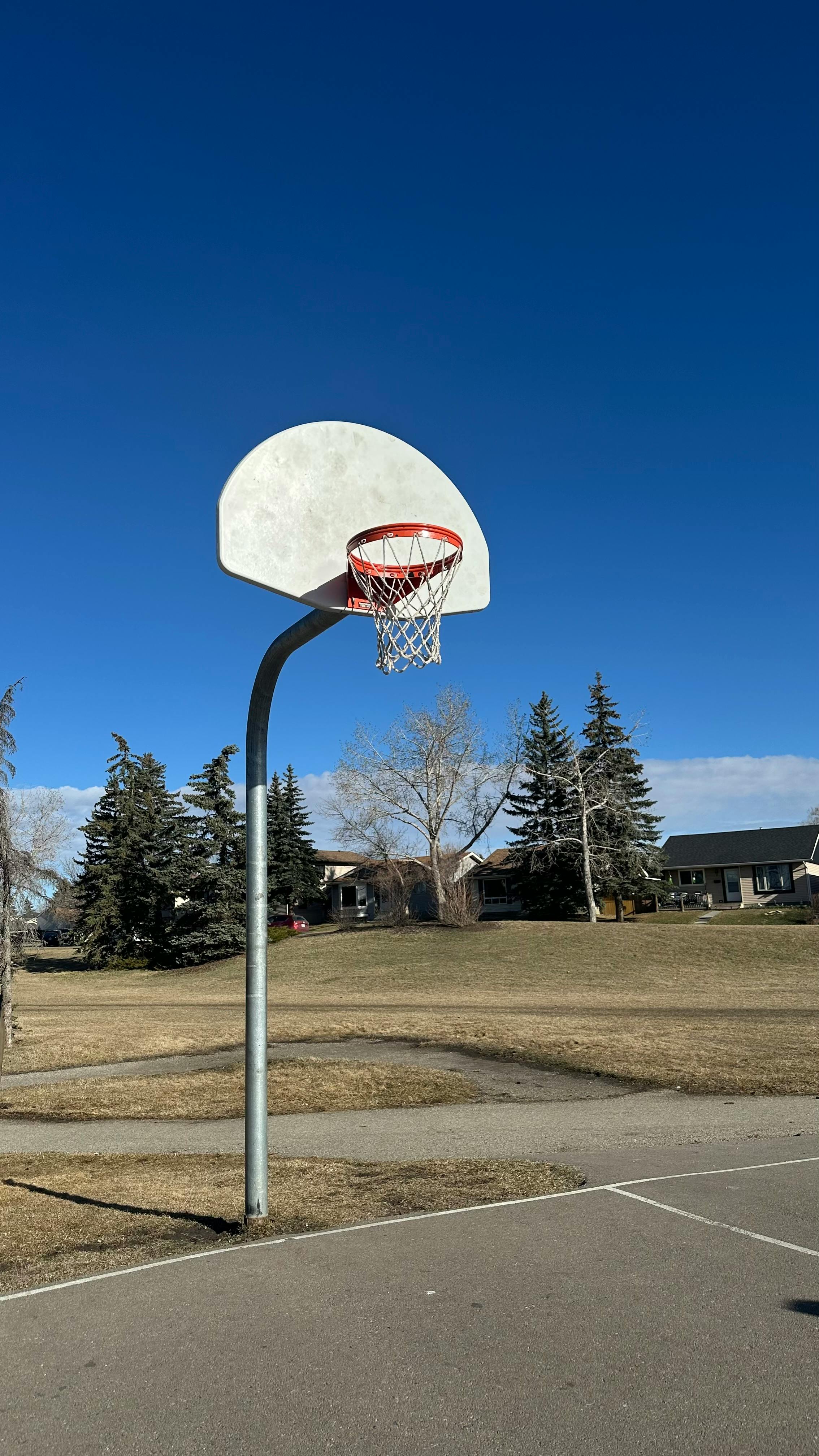 Basketball Pfp Photos, Download The BEST Free Basketball Pfp Stock ...