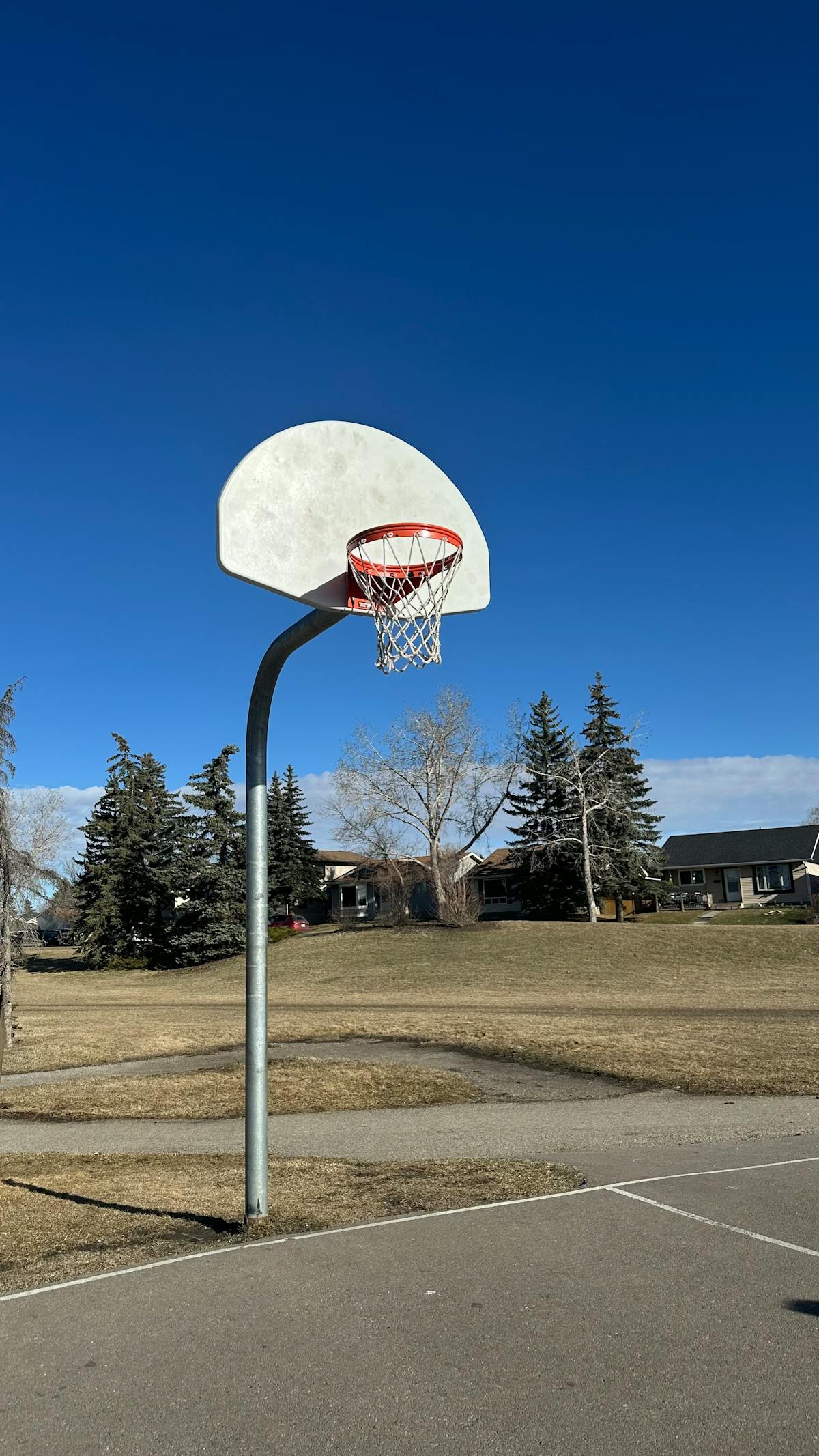 Basketball Pfp Photos, Download The BEST Free Basketball Pfp Stock ...