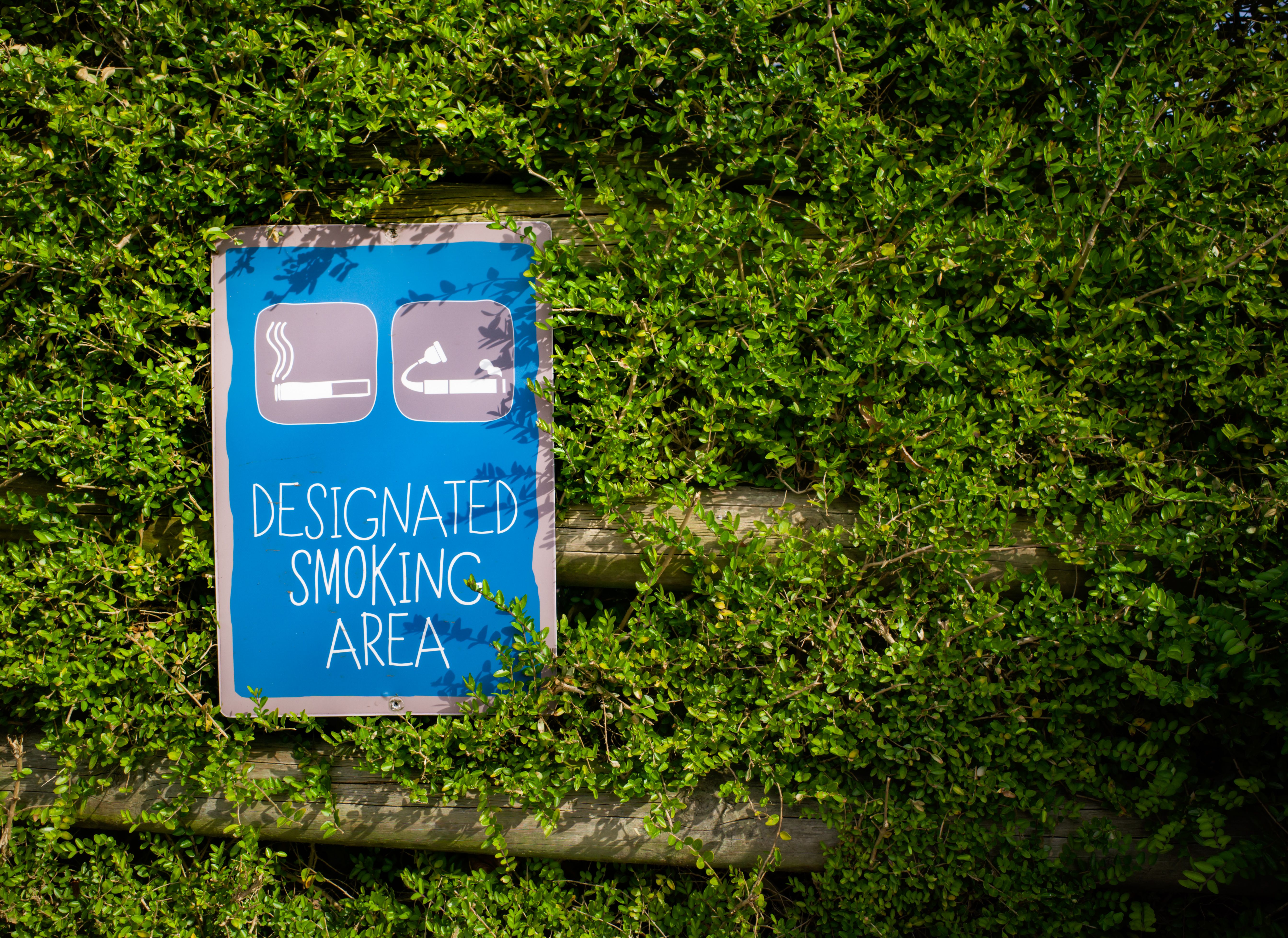 Designated Smoking Area Sign in Greenery · Free Stock Photo