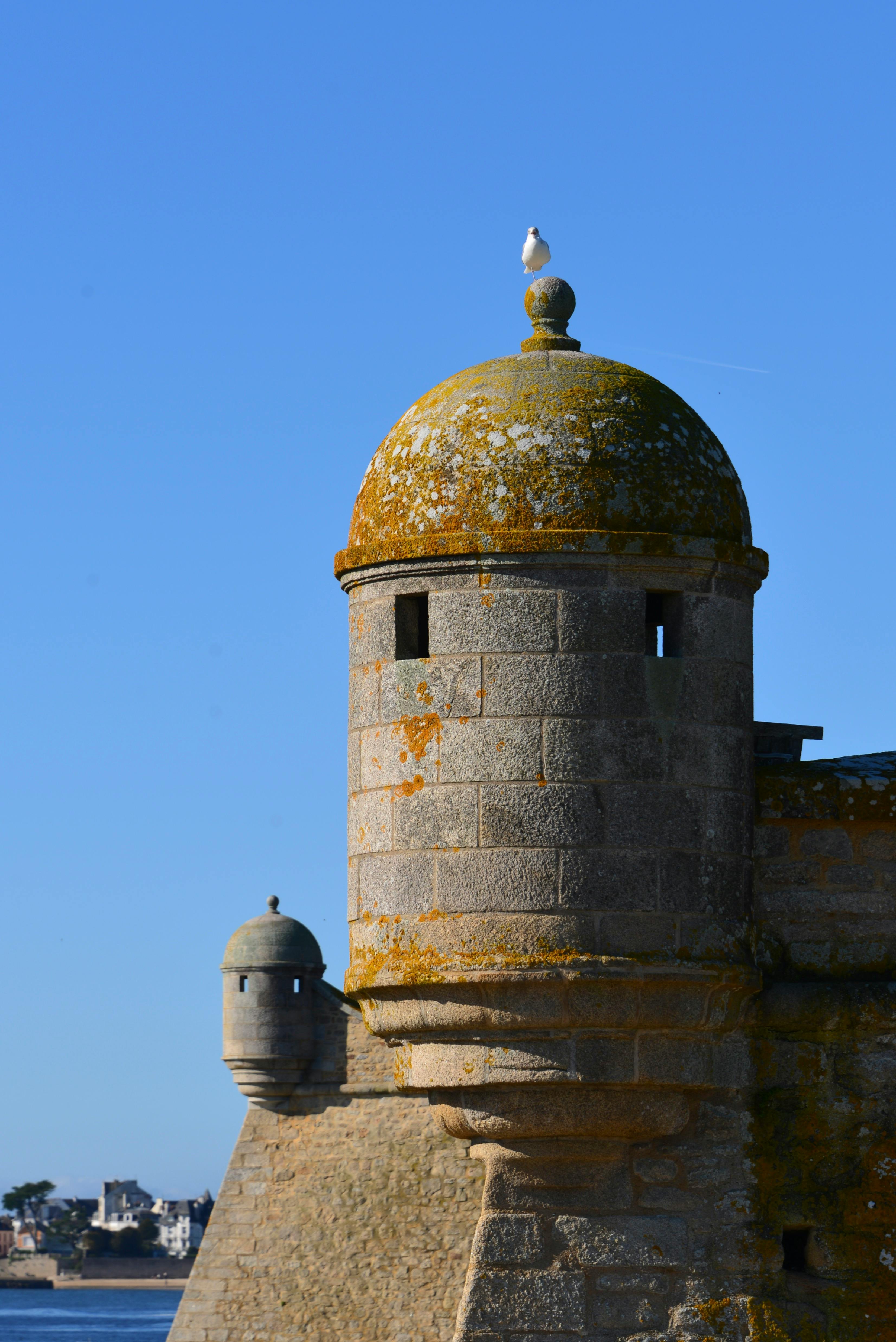 Historic Fort Tower with Seagull Under Blue Sky · Free Stock Photo