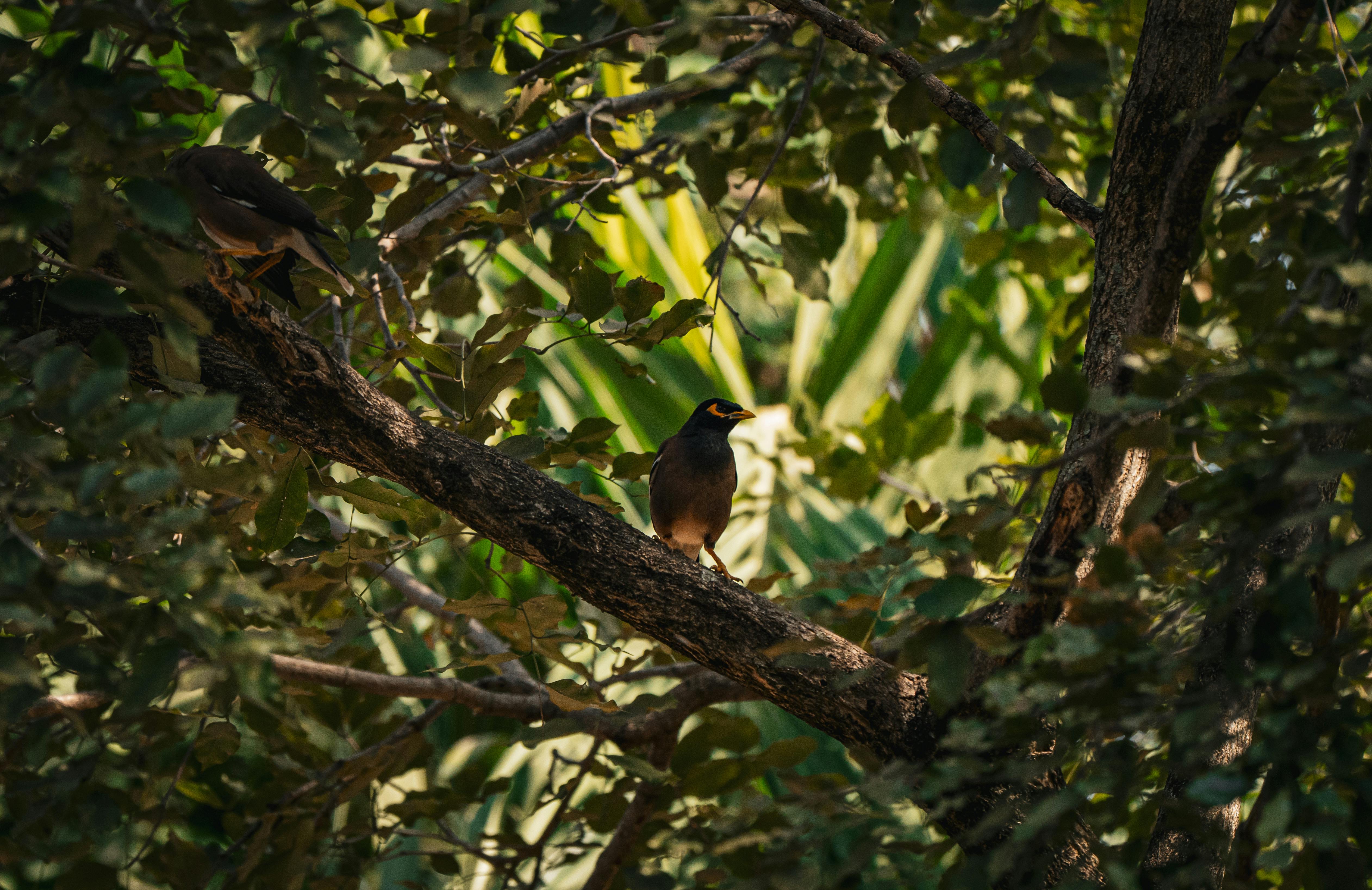 1x1 Wallpaper Photos, Download The BEST Free 1x1 Wallpaper Stock Photos ...