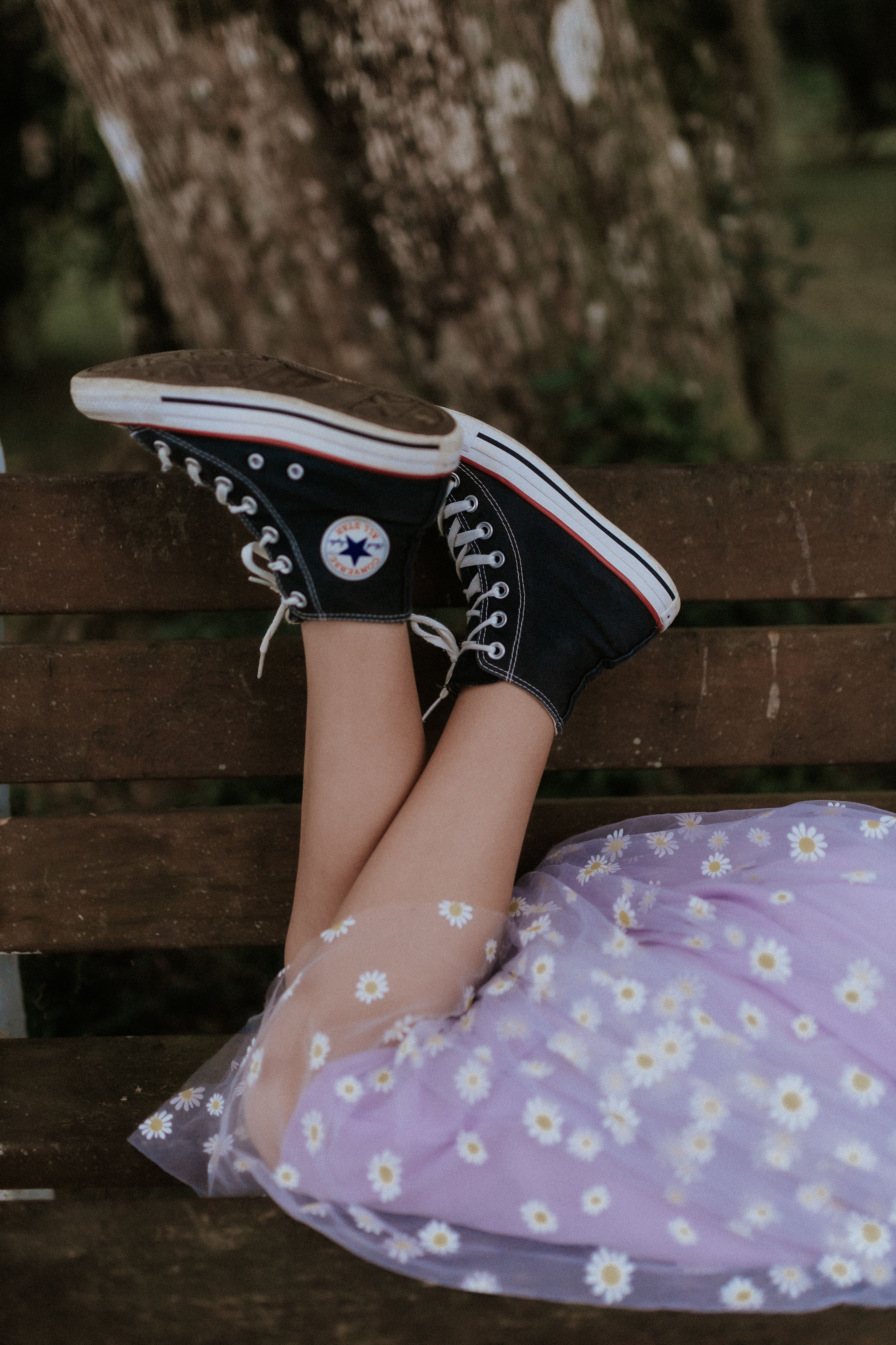 Converse Shoes Photos, Download The BEST Free Converse Shoes Stock ...