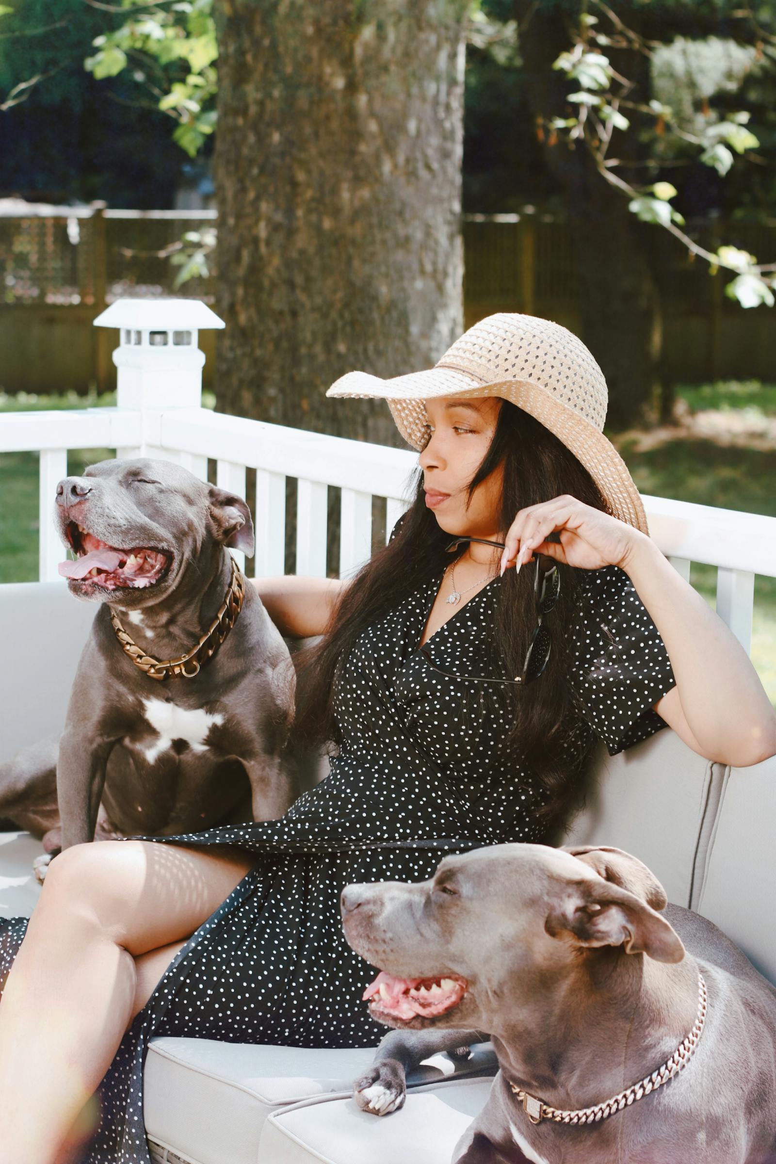 Dogs With Sunglasses Photos, Download The BEST Free Dogs With ...