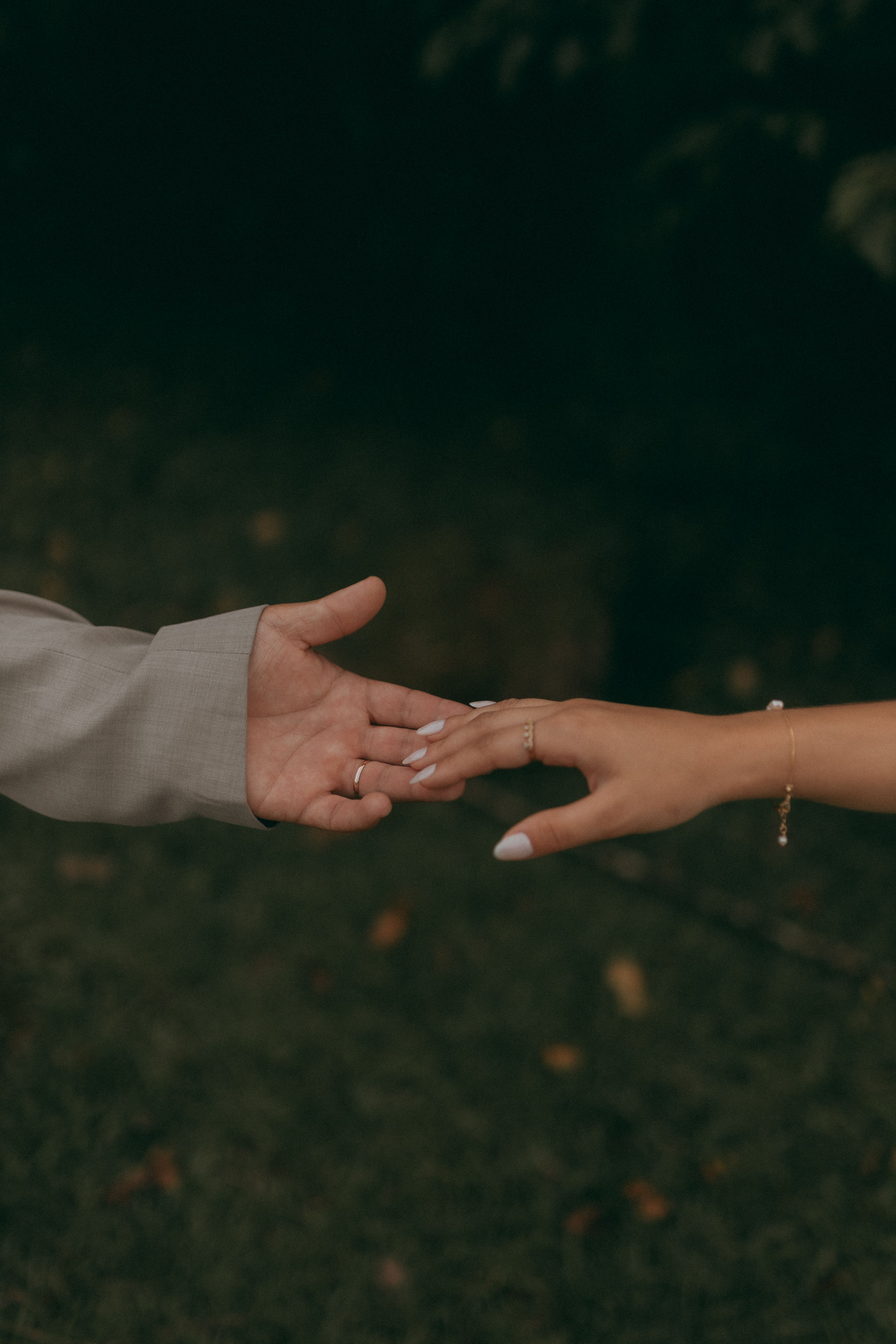 Tender Hand Touch in Nature Setting · Free Stock Photo
