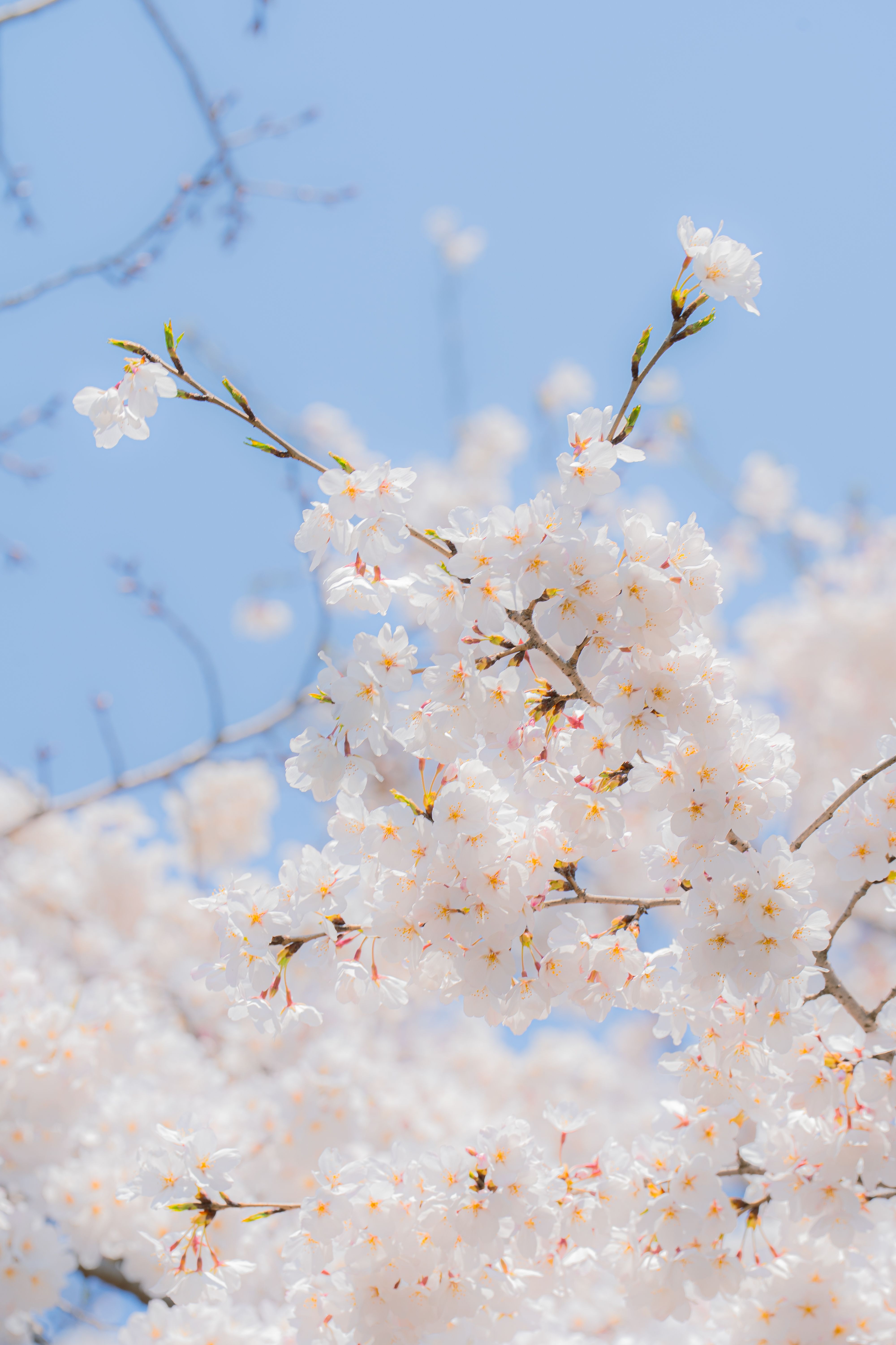 Desktop Backgrounds Inspo Photos, Download The BEST Free Desktop ...