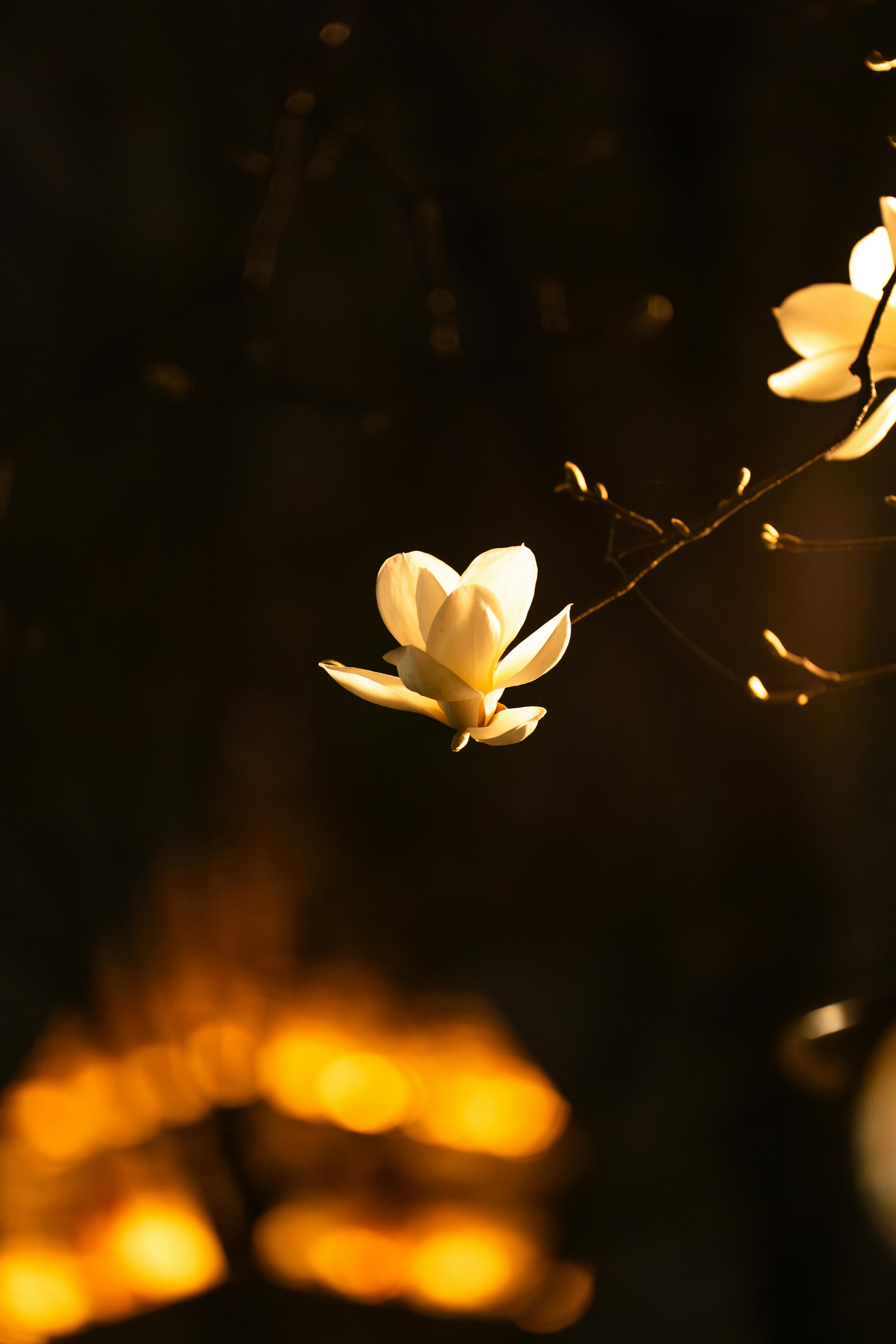 Calm Desktop Backgrounds Photos, Download The BEST Free Calm Desktop ...