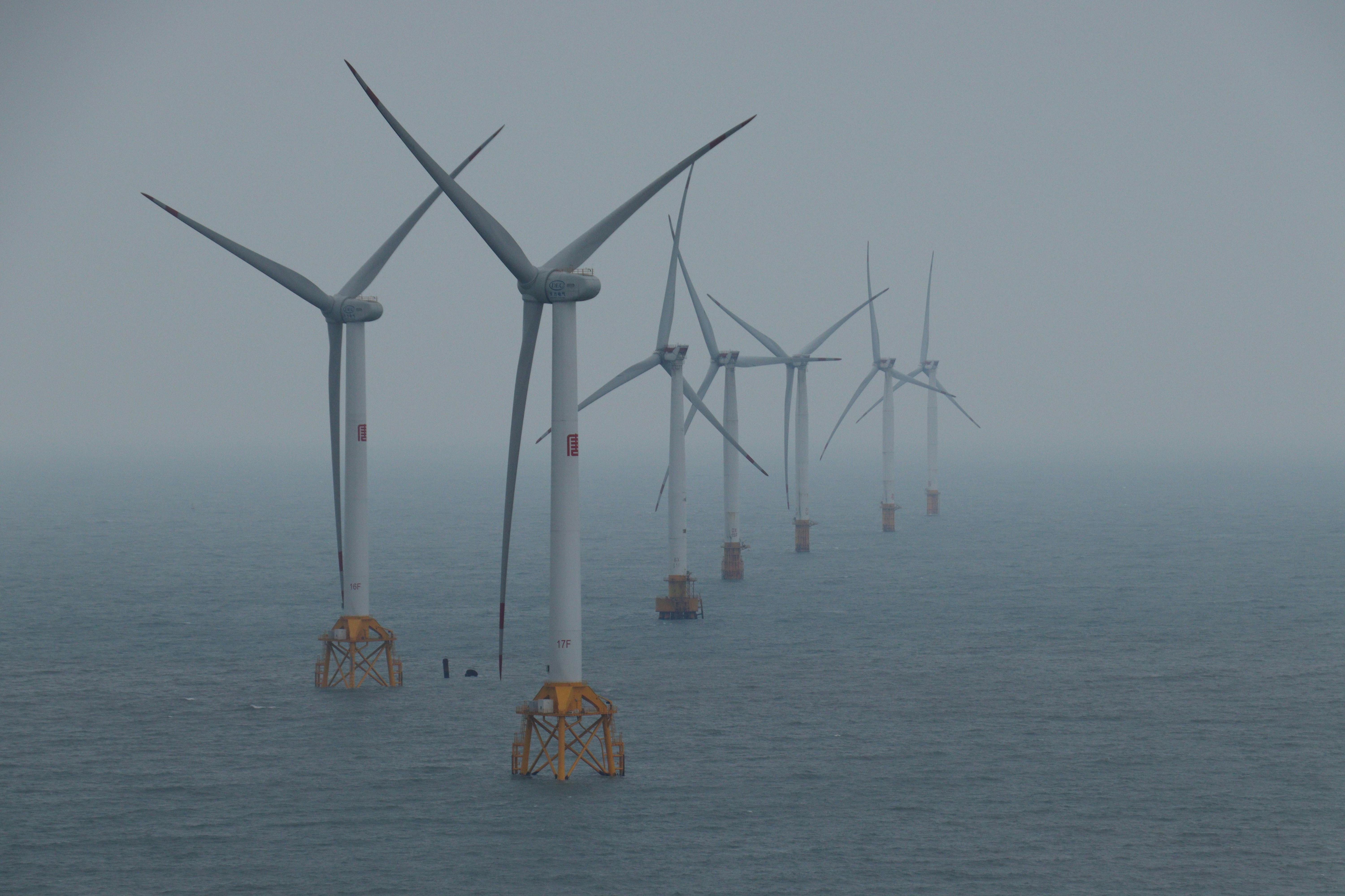 Offshore Wind Farm with Multiple Wind Turbines · Free Stock Photo
