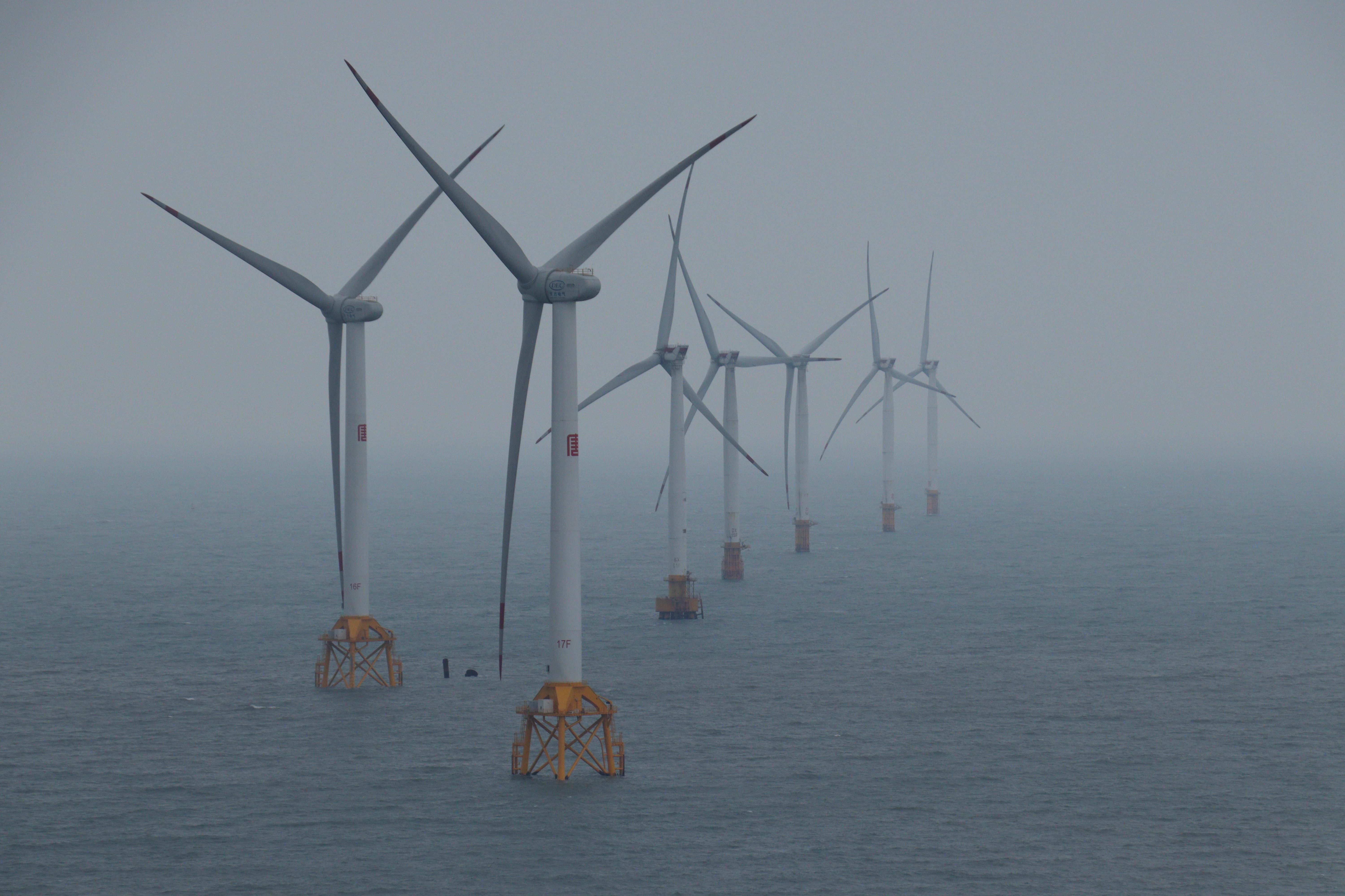 Offshore Wind Farm with Multiple Wind Turbines · Free Stock Photo