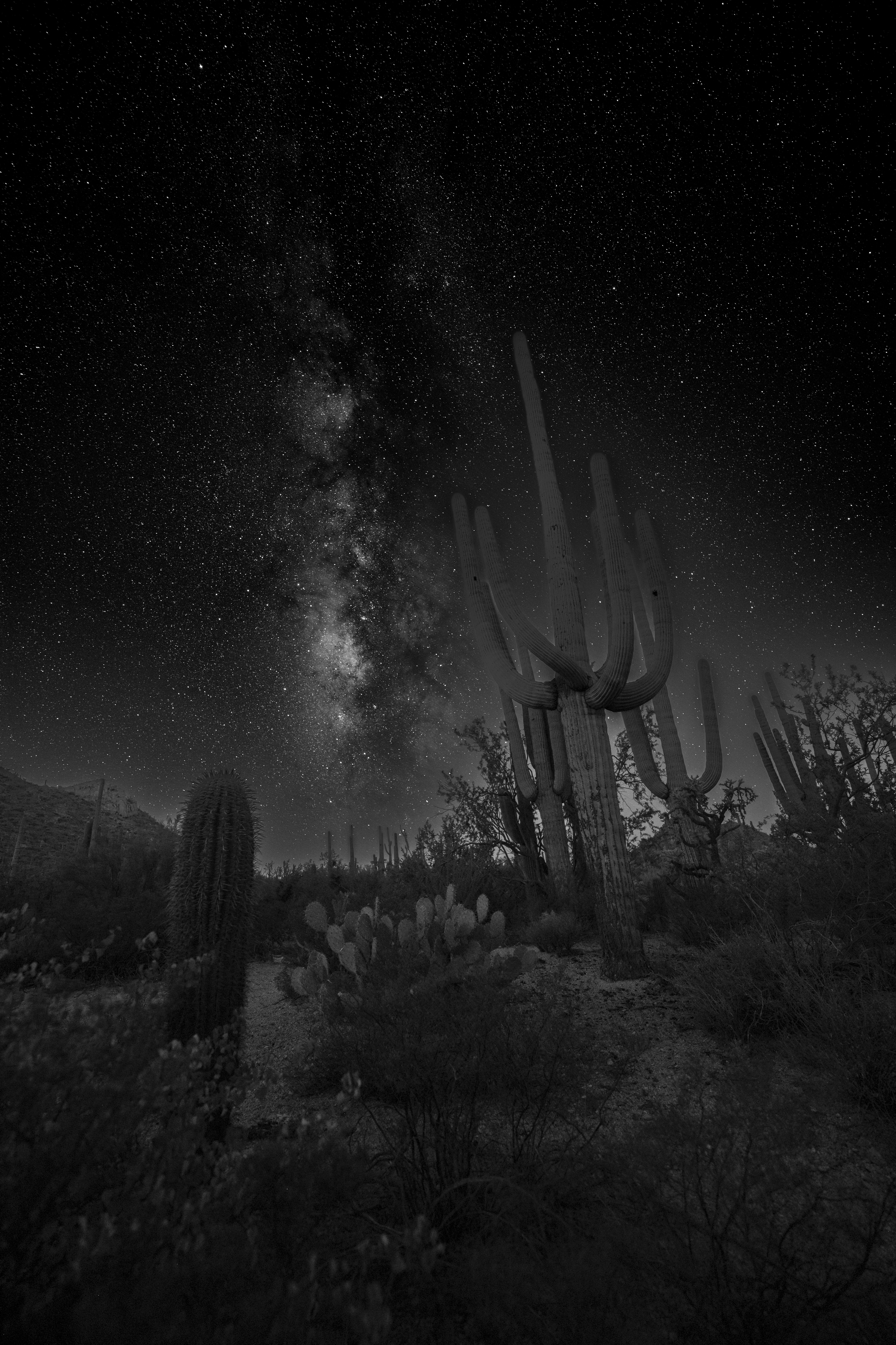 Stunning Milky Way Over Arizona Desert Landscape · Free Stock Photo