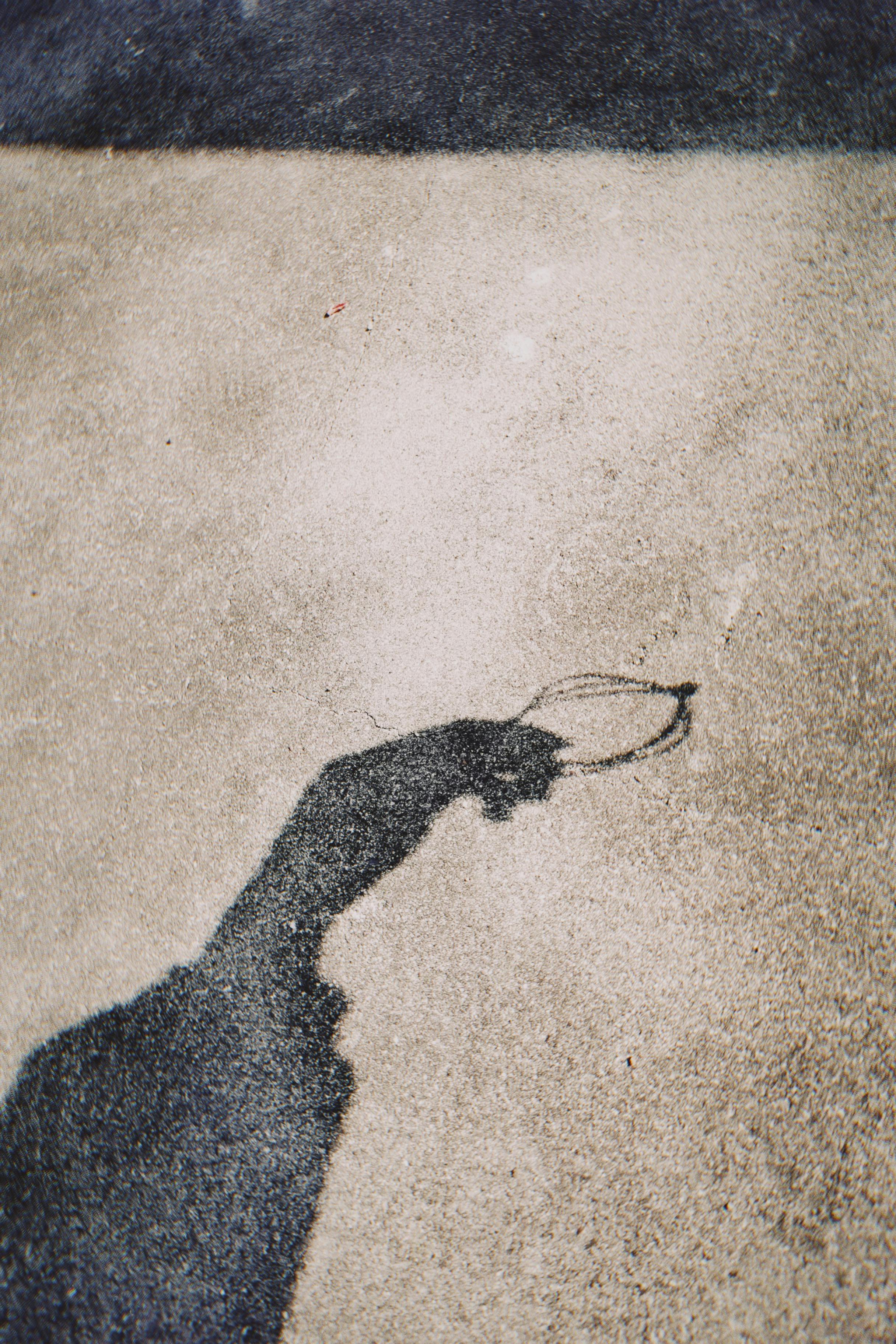 Basketball Pfp Photos, Download The BEST Free Basketball Pfp Stock ...