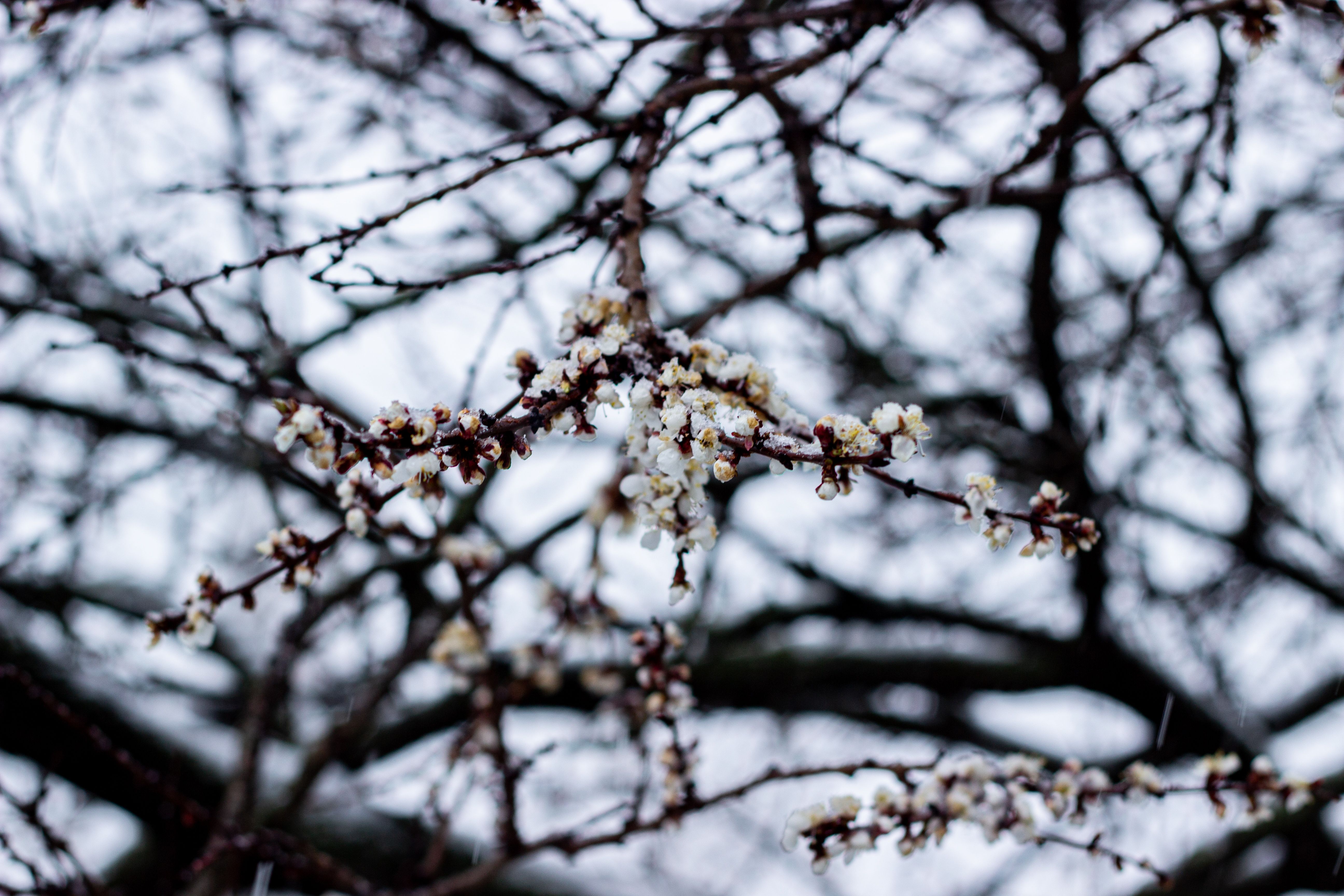Hope Simple Photos, Download The BEST Free Hope Simple Stock Photos ...