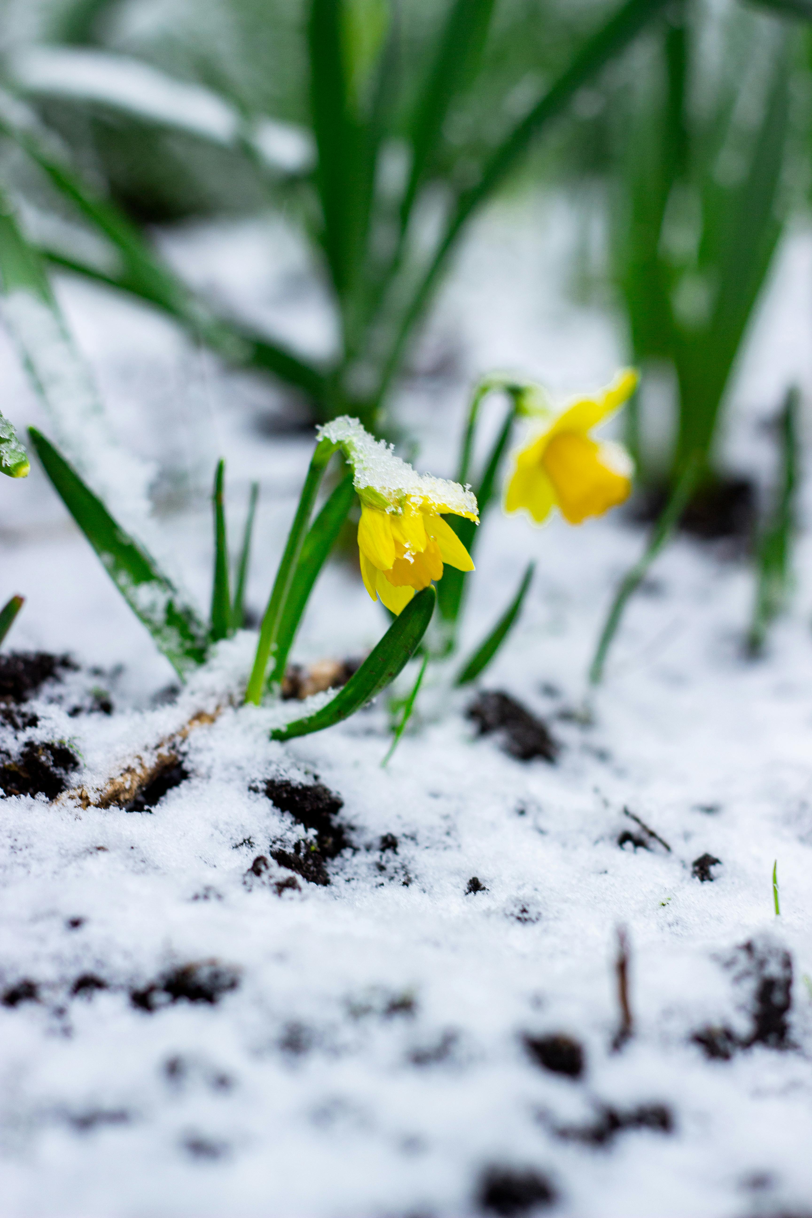 Aprendizaje Persistence Photos, Download The BEST Free Aprendizaje ...