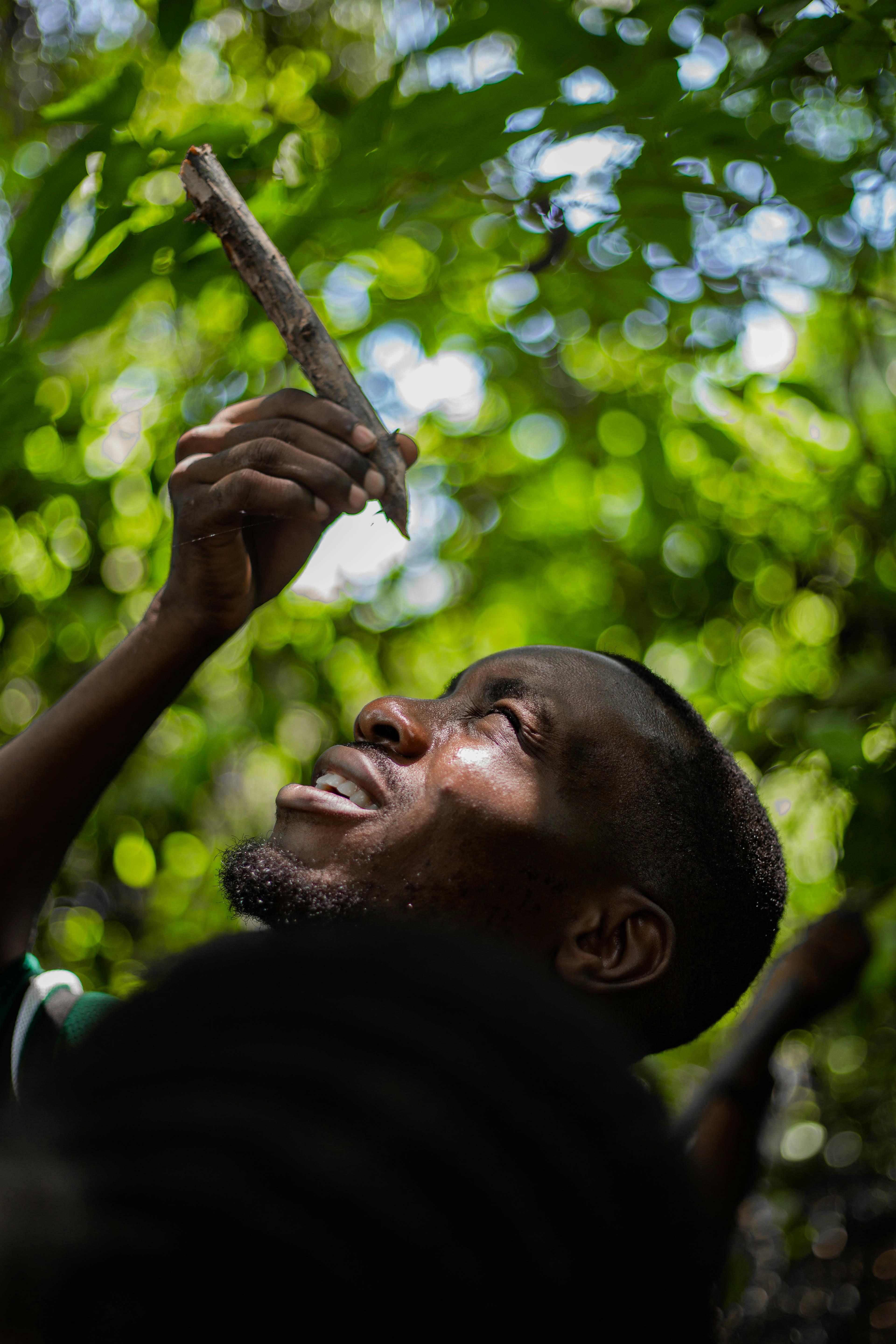 Man Observing Nature With Eco-Conscious Awareness · Free Stock Photo