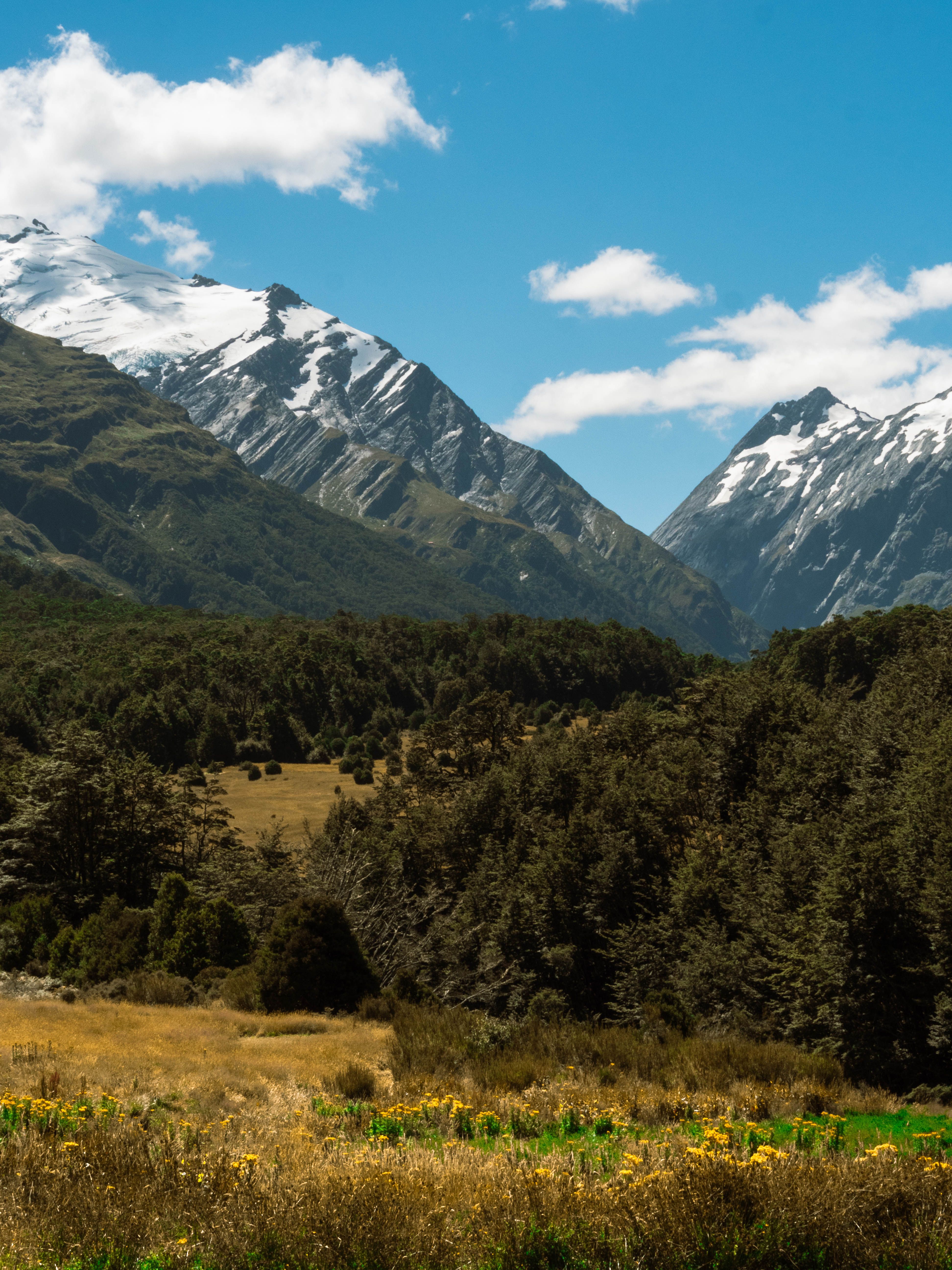 Impresionantes Paisajes Alpinos En La Costa Oeste De Nueva Zelanda ...