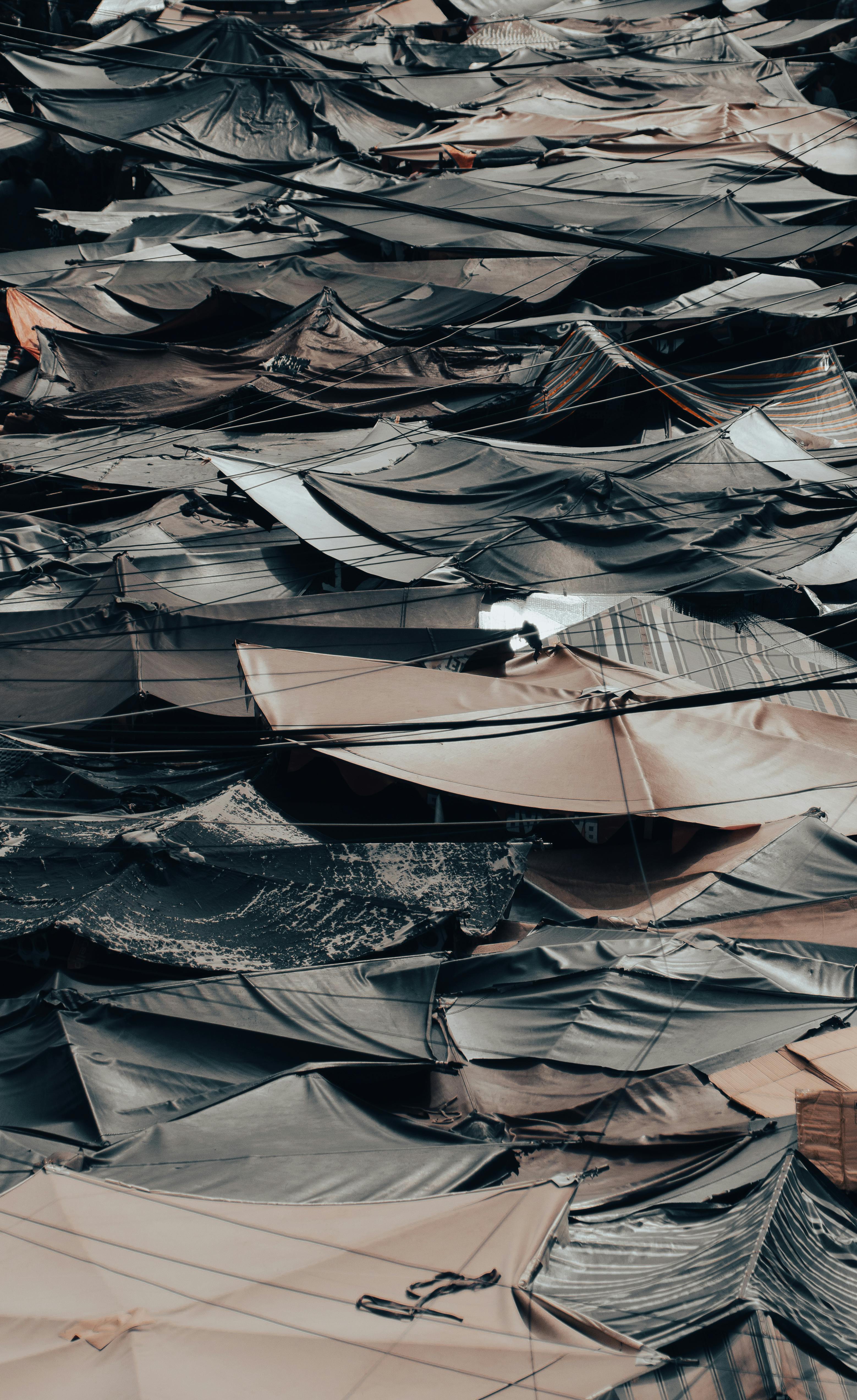 Skachat+Canva Photos, Download The BEST Free Skachat+Canva Stock Photos ...