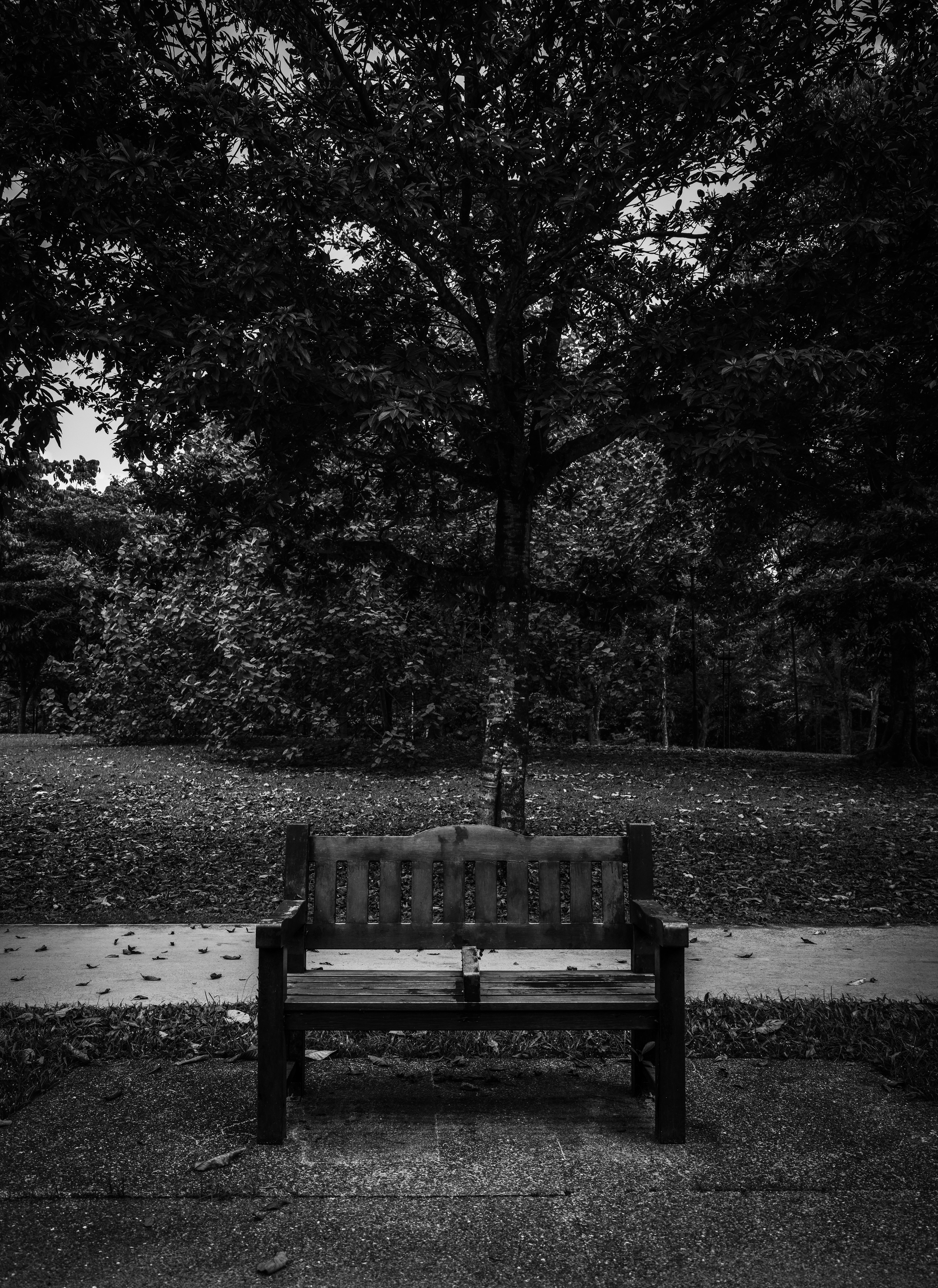Moody Black and White Park Bench Scene · Free Stock Photo