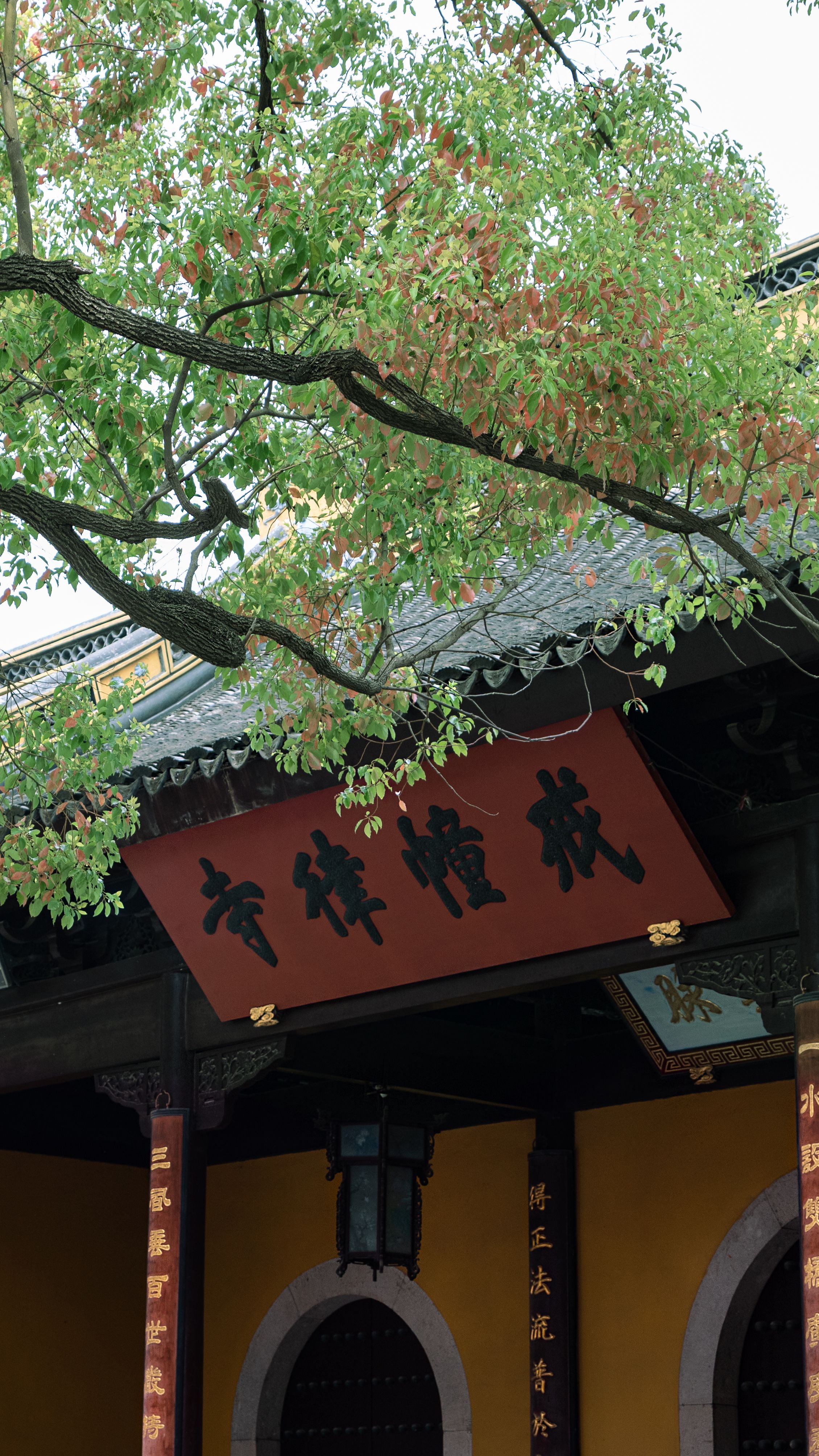 Traditional Chinese Temple with Tree Canopy · Free Stock Photo
