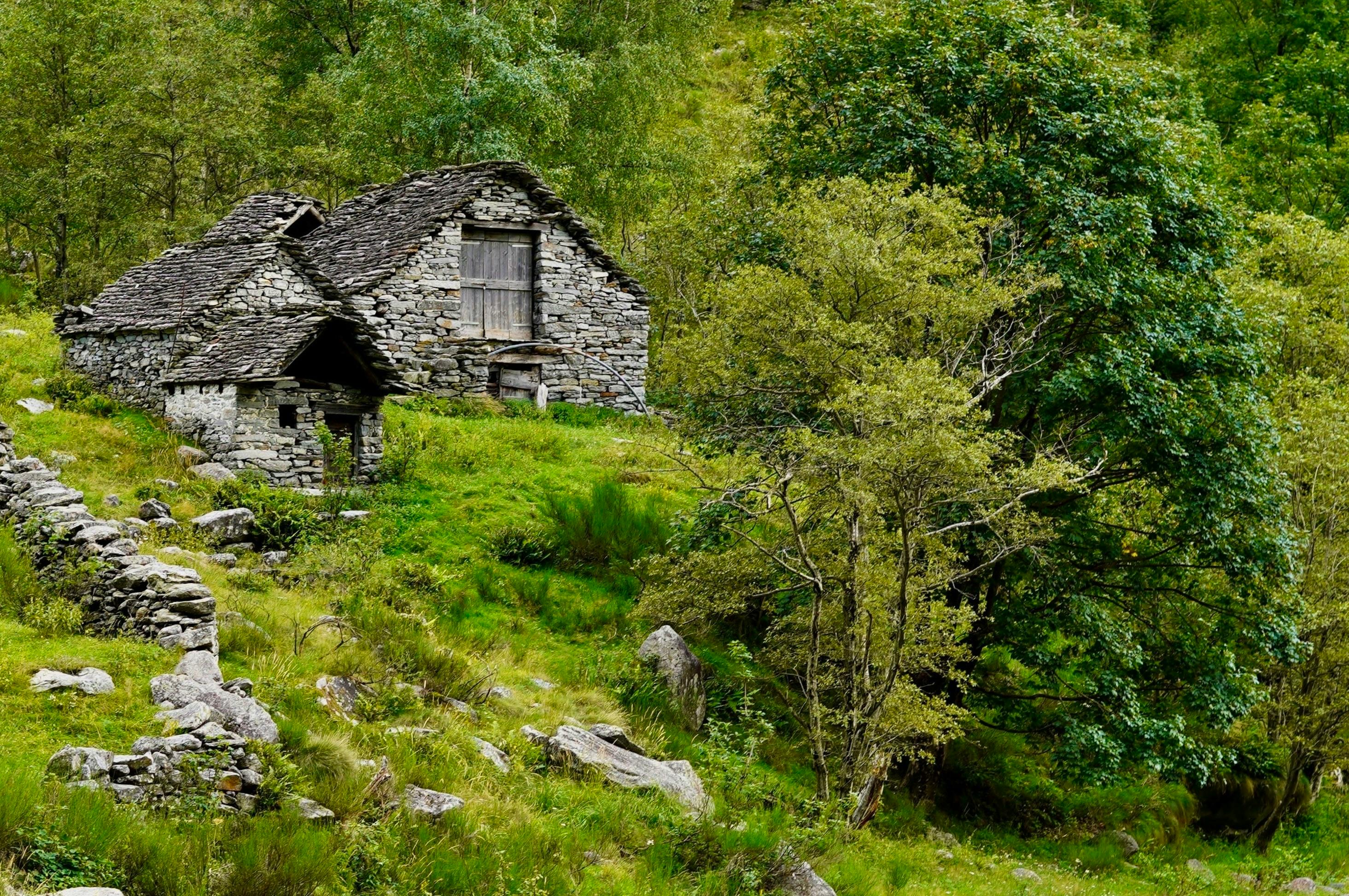 Rustic Stone Cottage in Vibrant Green Forest · Free Stock Photo