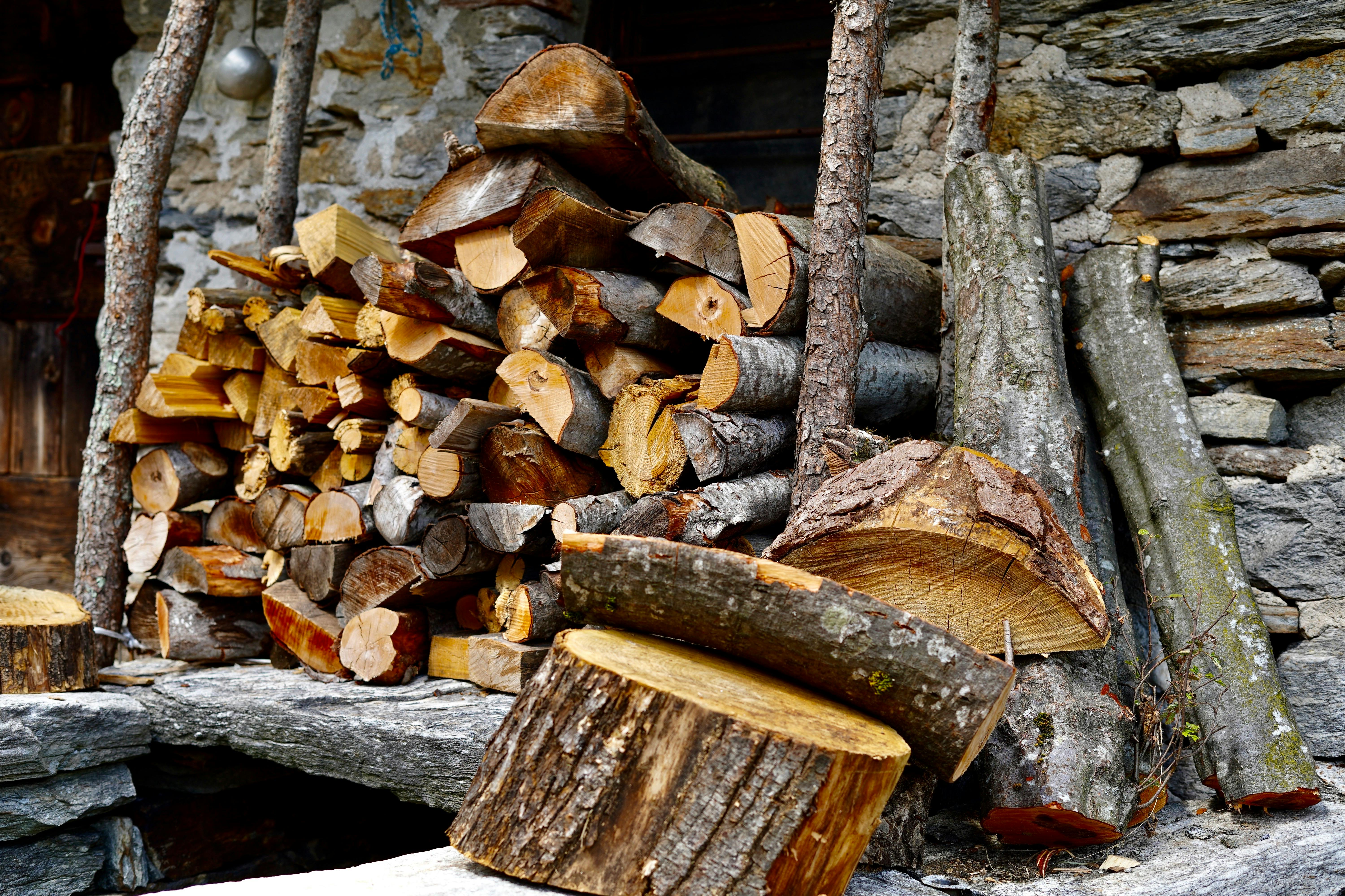 Rustic Firewood Stack by Stone Wall in Autumn · Free Stock Photo