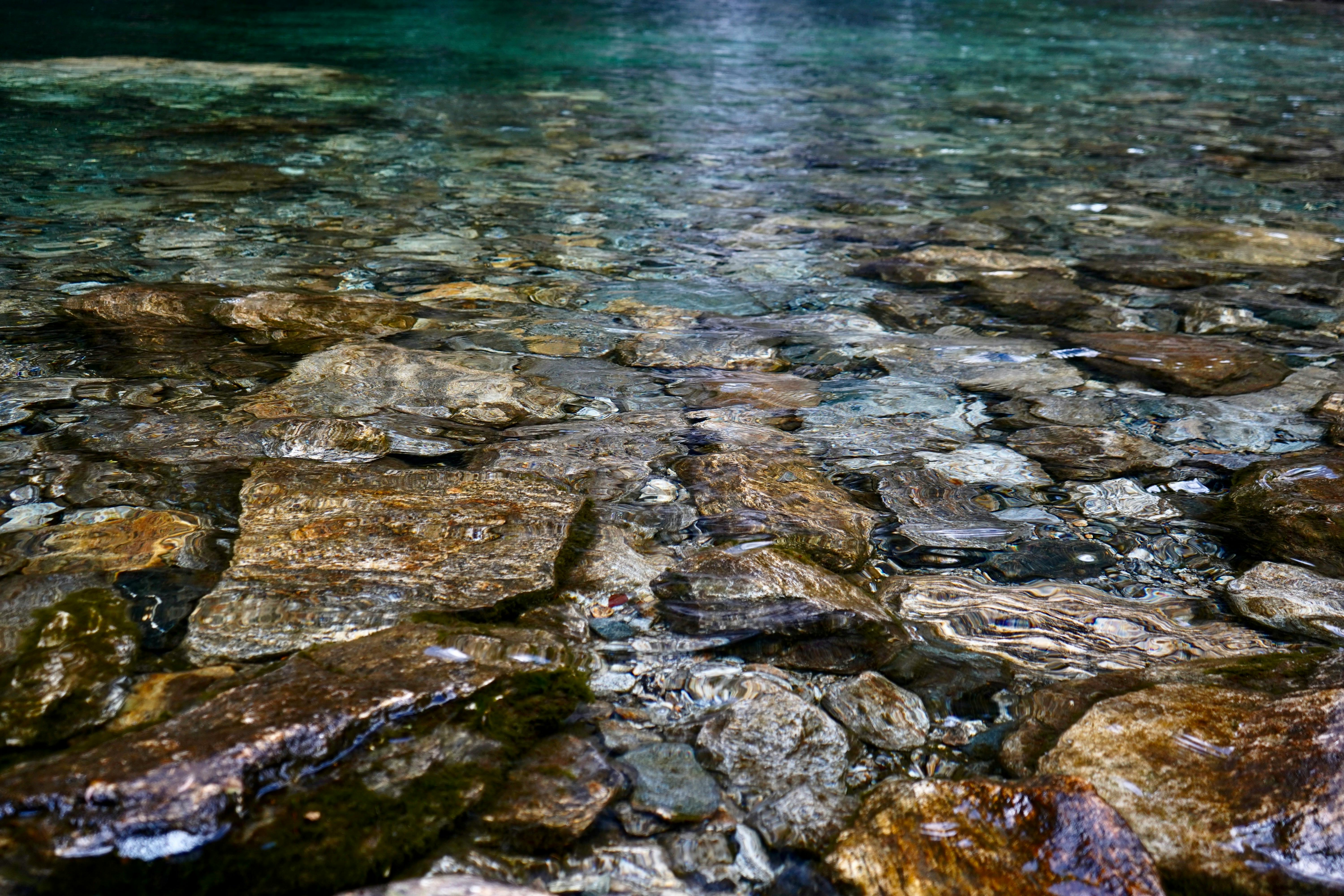 Clear Rocky Stream Detail with Natural Patterns · Free Stock Photo