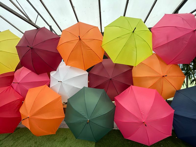 Umbrella Photos, Download The BEST Free Umbrella Stock Photos & HD Images