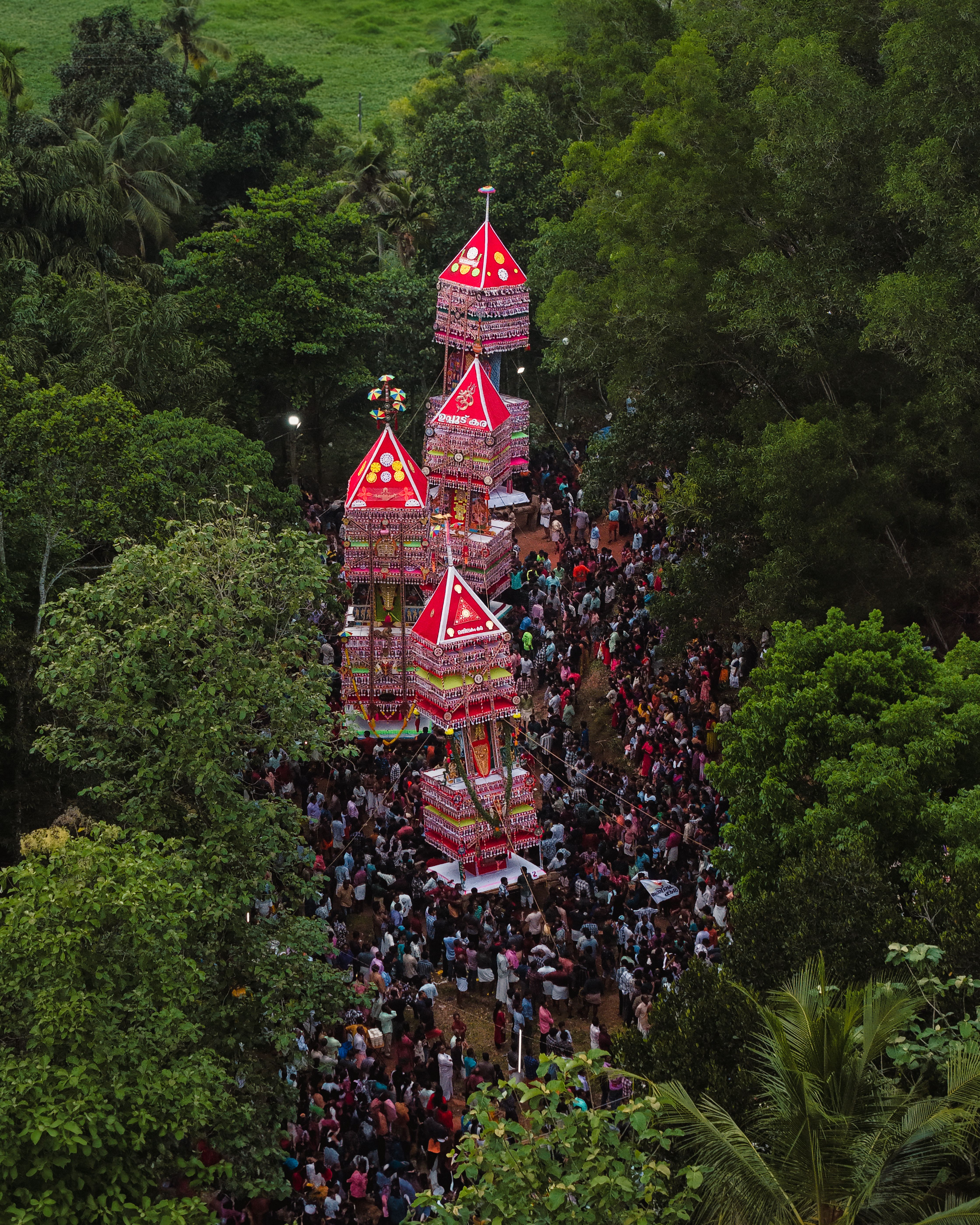 Aerial View of Colorful Festival Parade in Forest · Free Stock Photo