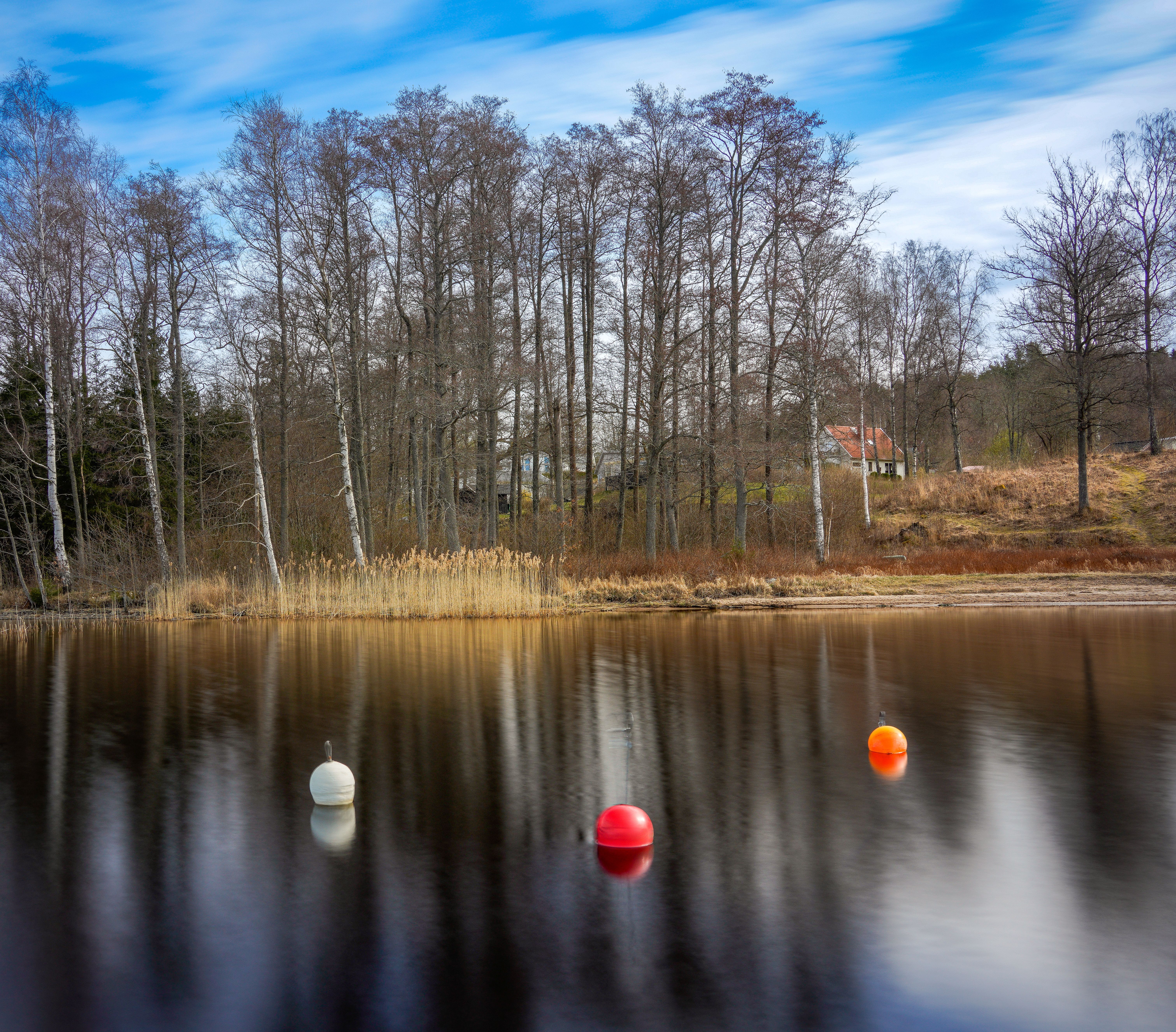 Scenic Lake View in Jonkoping County, Sweden · Free Stock Photo