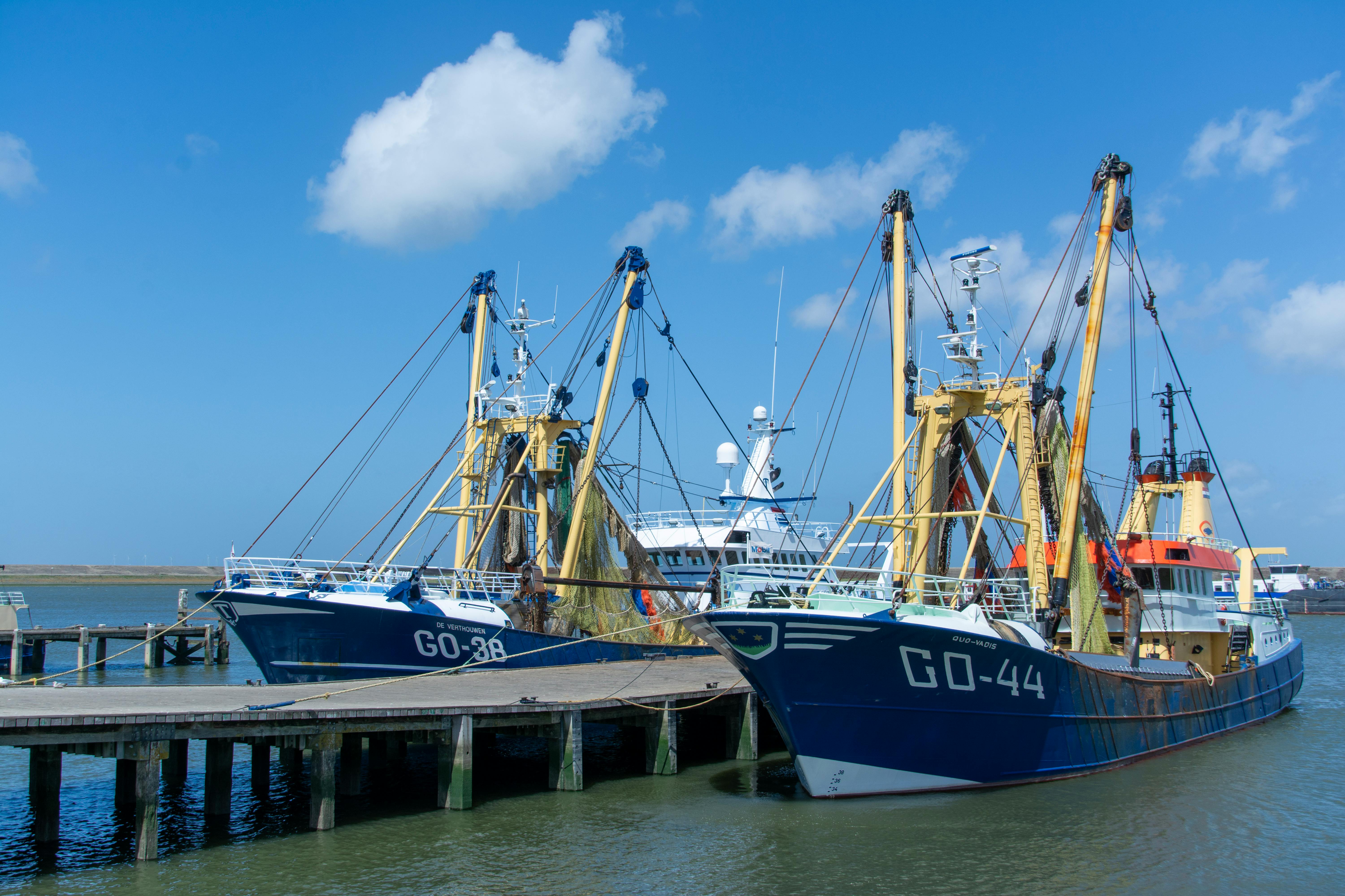 Estetyczne Tapety Na Laptopa Photos, Download The BEST Free Estetyczne ...