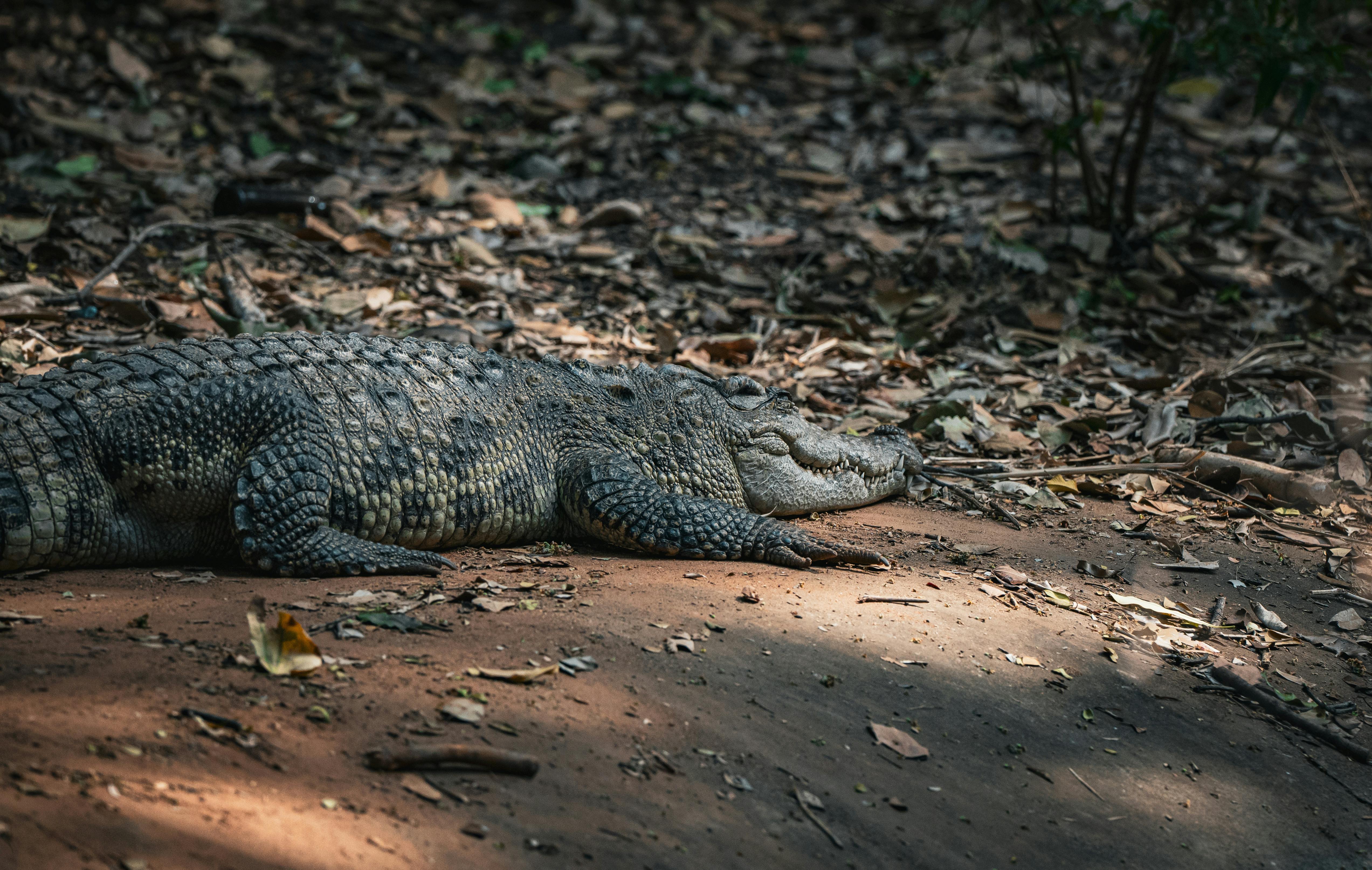 Free Textures Photos, Download The BEST Free Free Textures Stock Photos ...