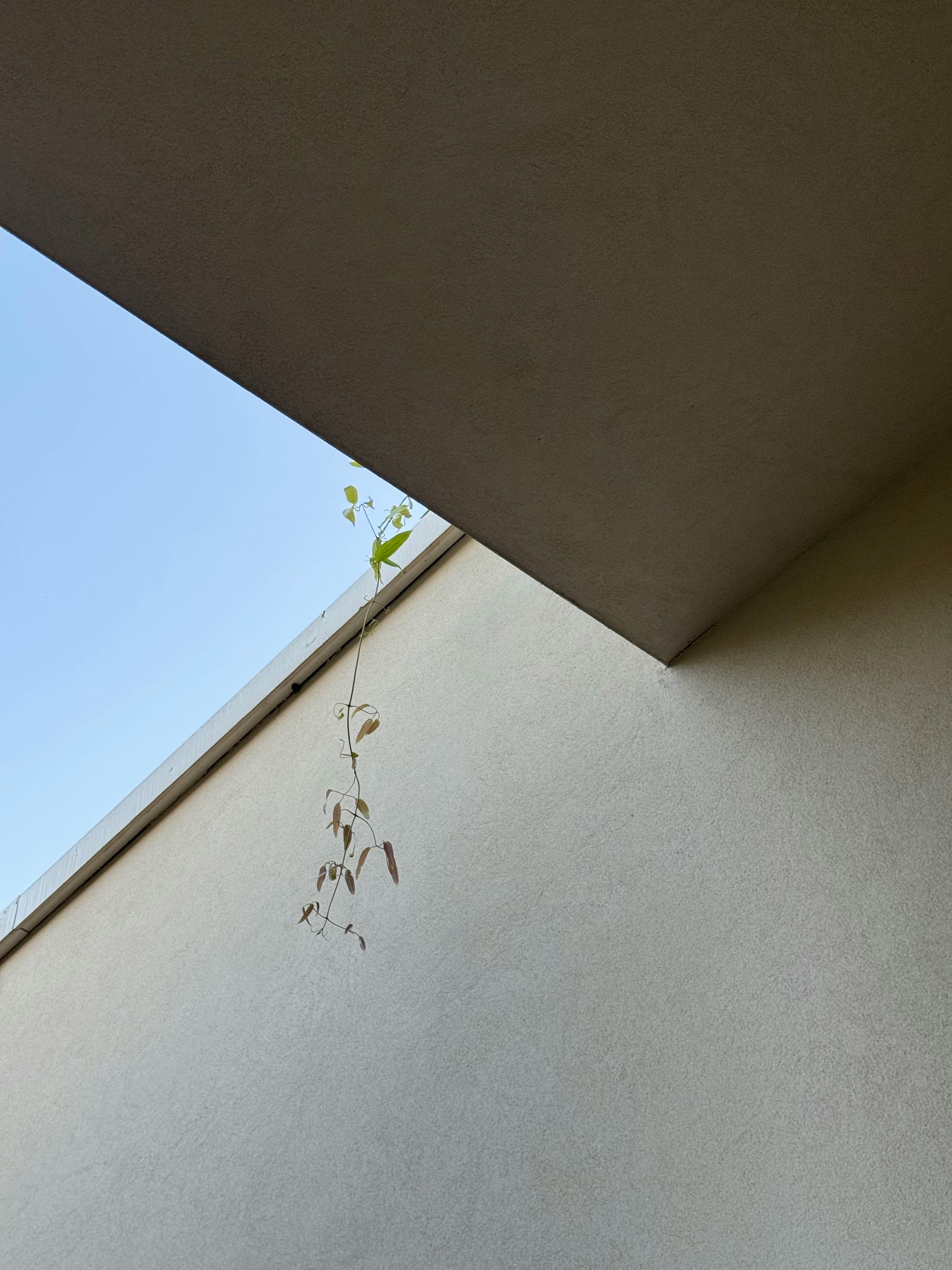 Bokep+Viral+Indahrsn Photos, Download The BEST Free Bokep+Viral+Indahrsn Stock Photos & HD Images