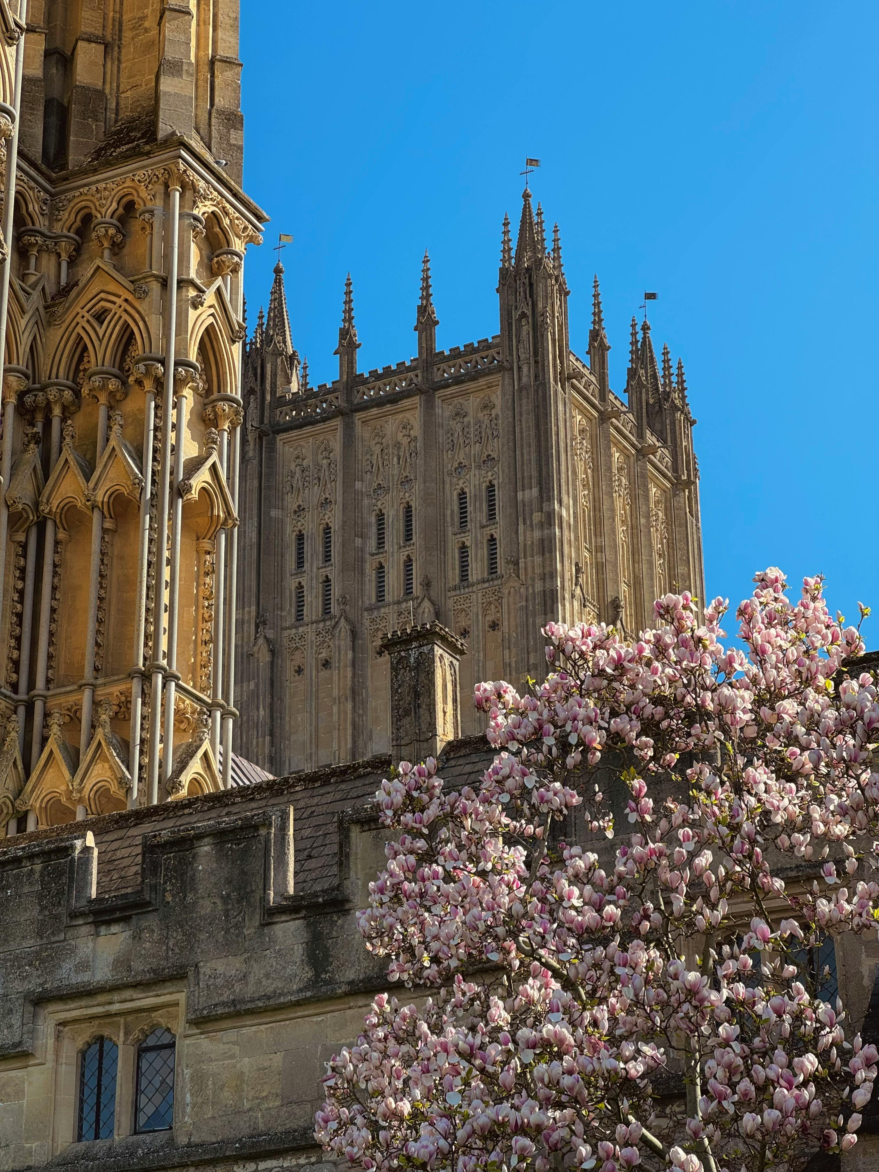 Pretty Great Photos, Download The BEST Free Pretty Great Stock Photos ...