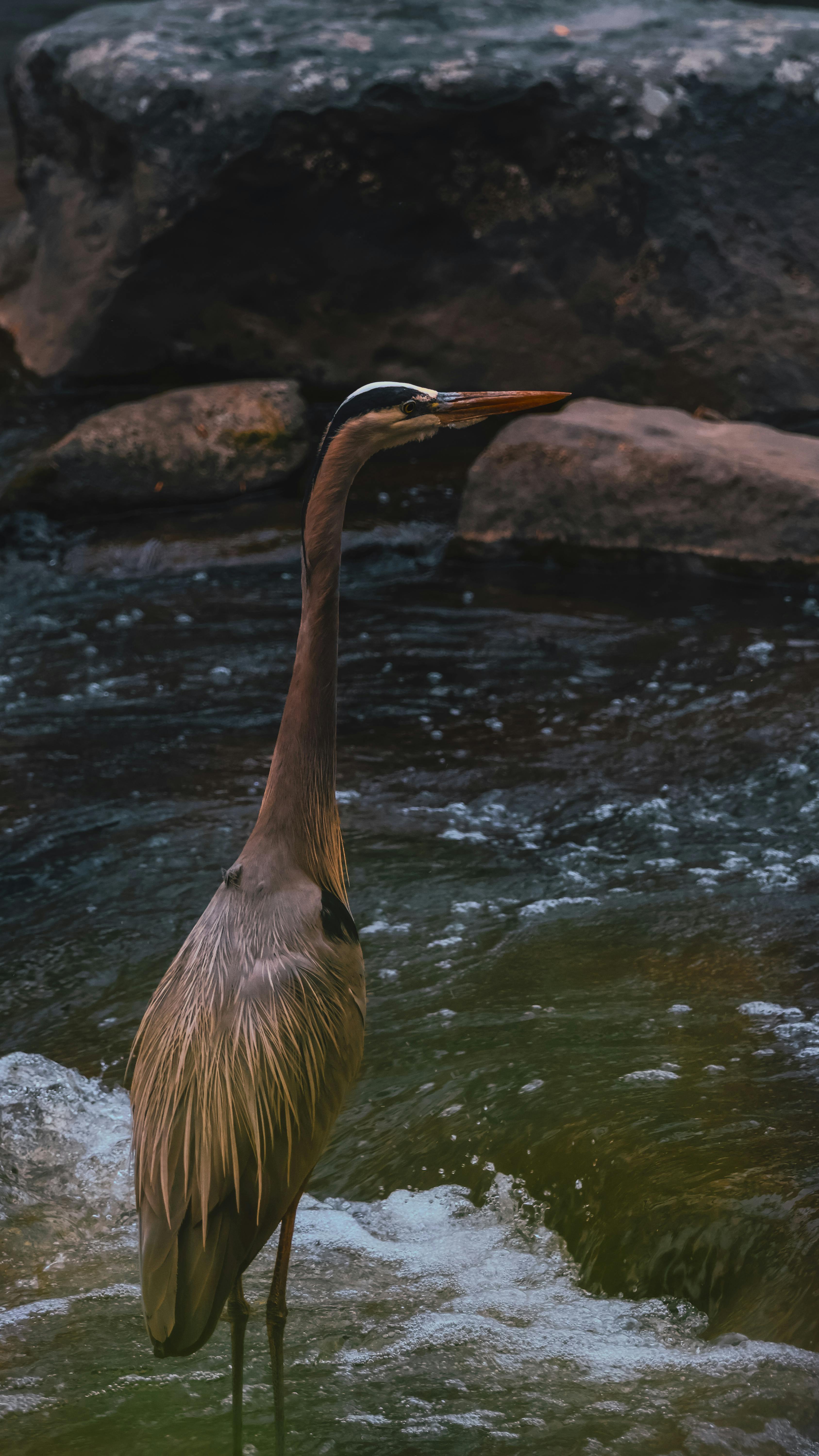 Cuban Migration Photos, Download The BEST Free Cuban Migration Stock ...