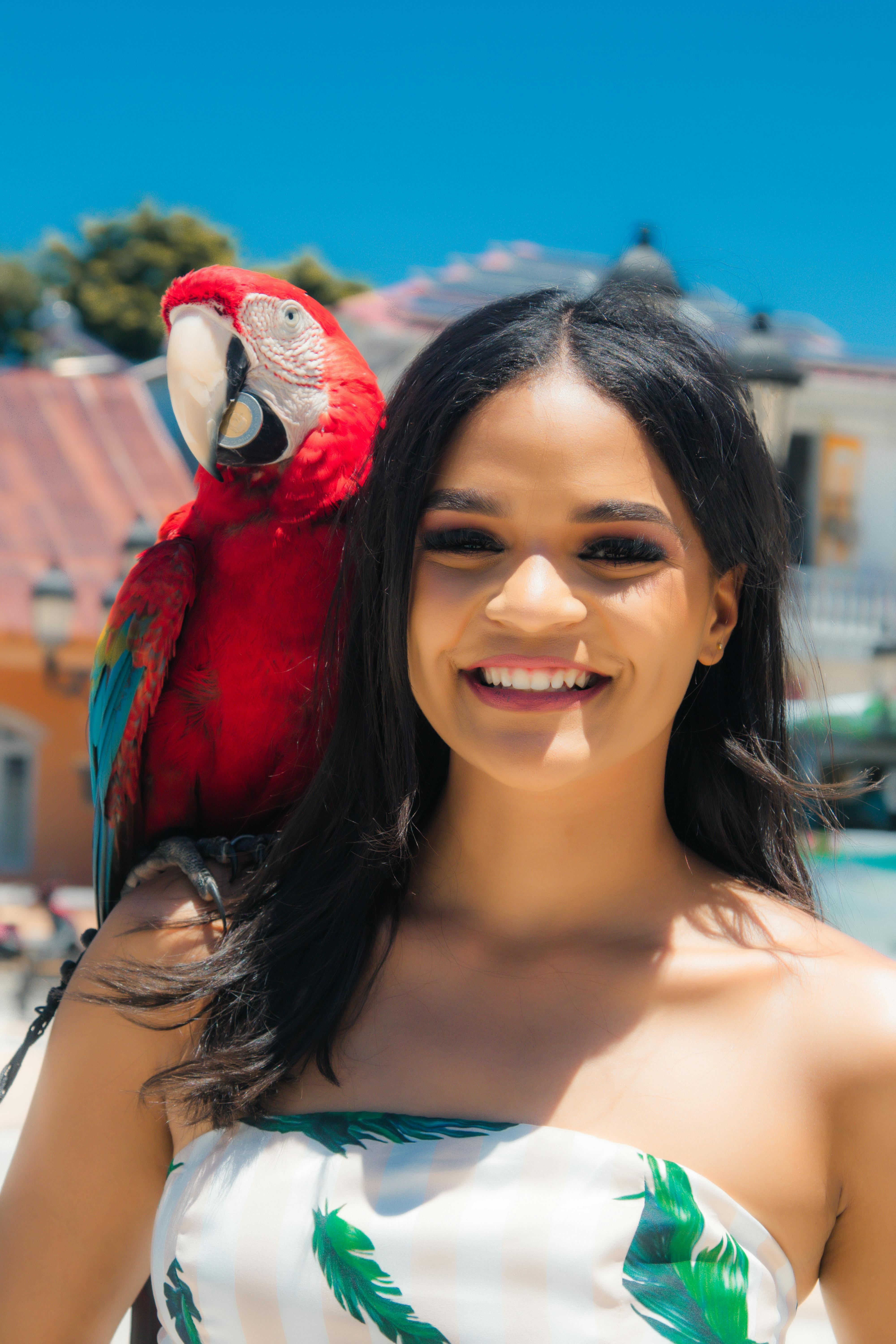 Sunny Parrot Photos, Download The BEST Free Sunny Parrot Stock Photos ...