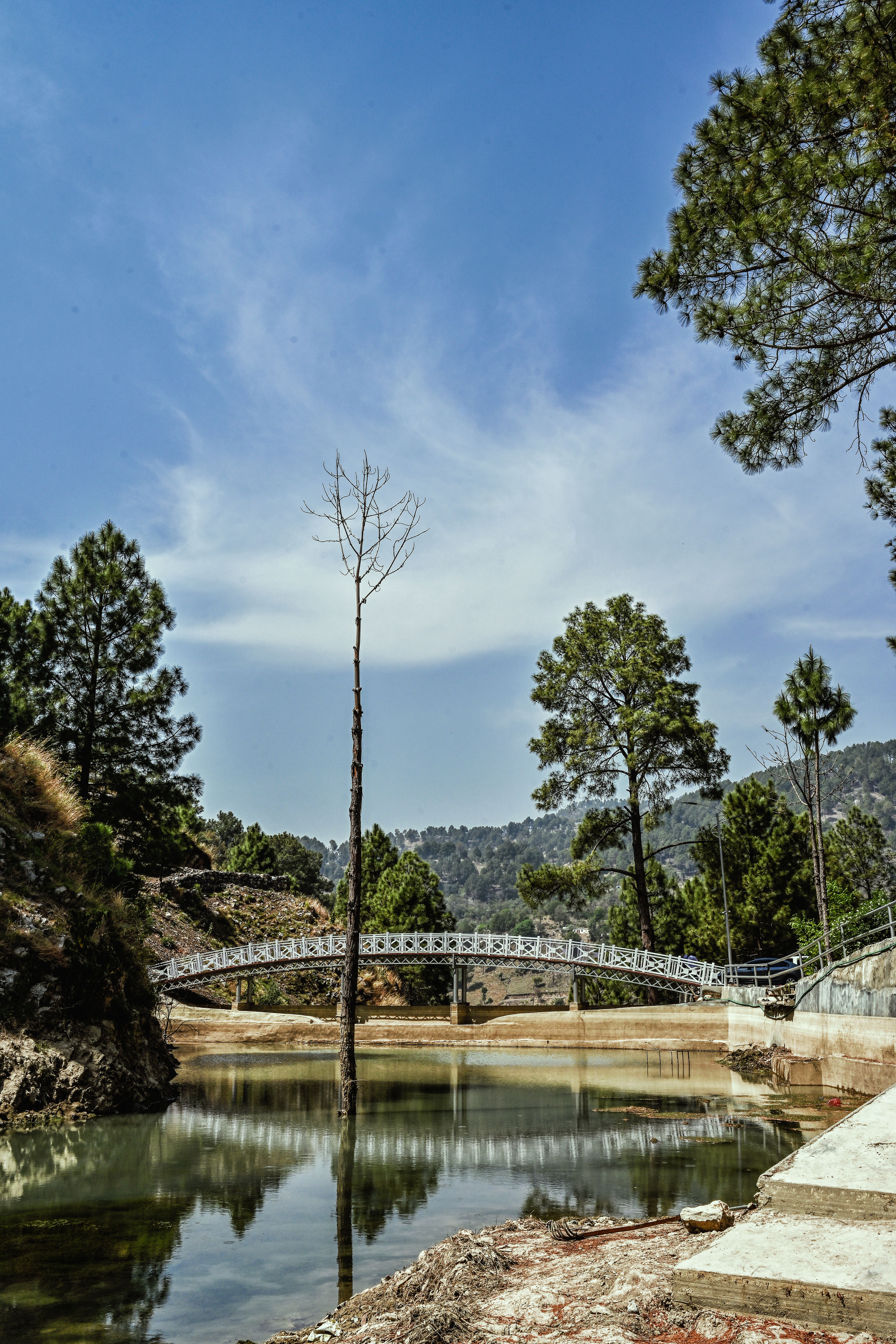 Serene Bridge over Lake in Islamabad Park · Free Stock Photo