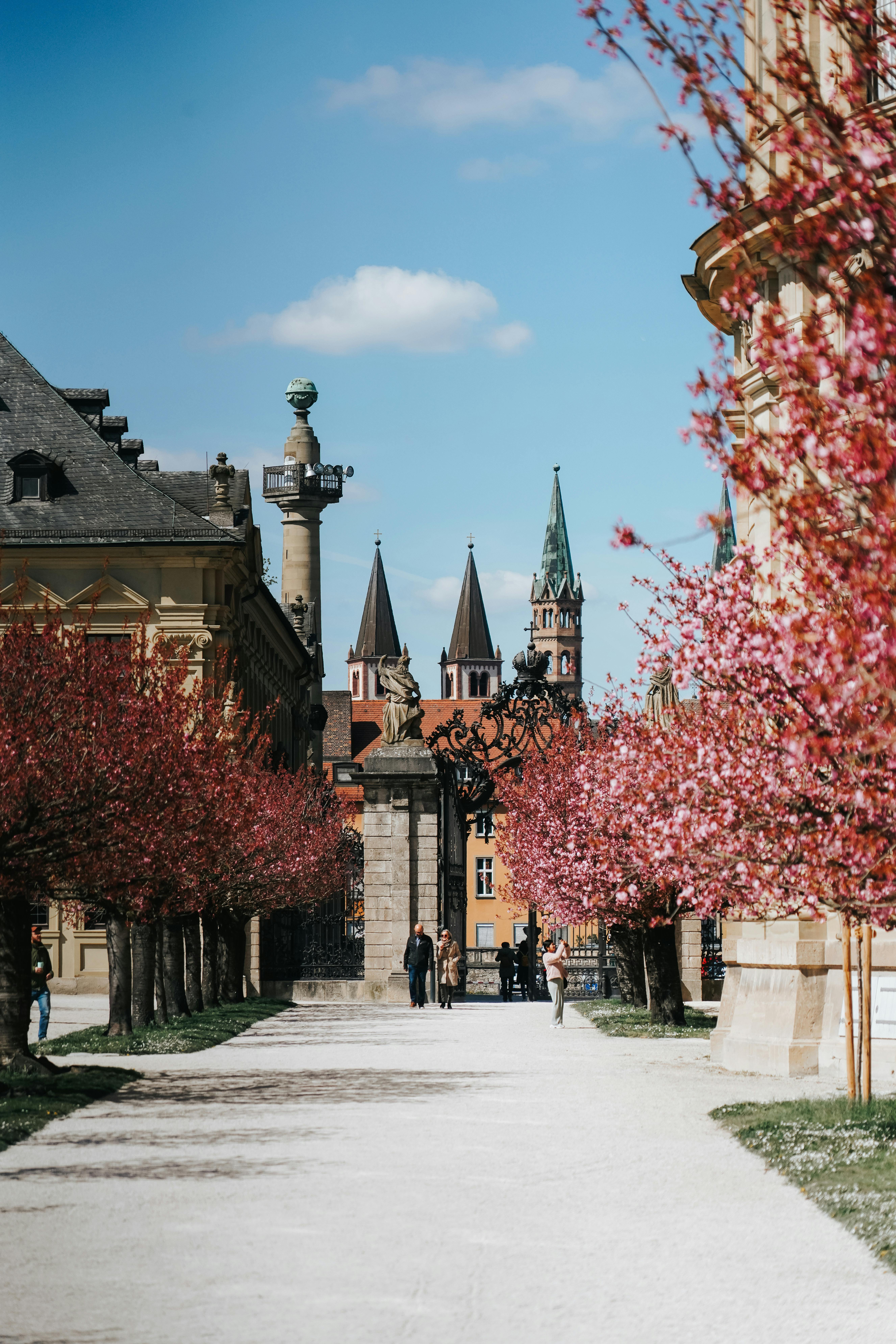 Springtime in Historic European Cityscape · Free Stock Photo