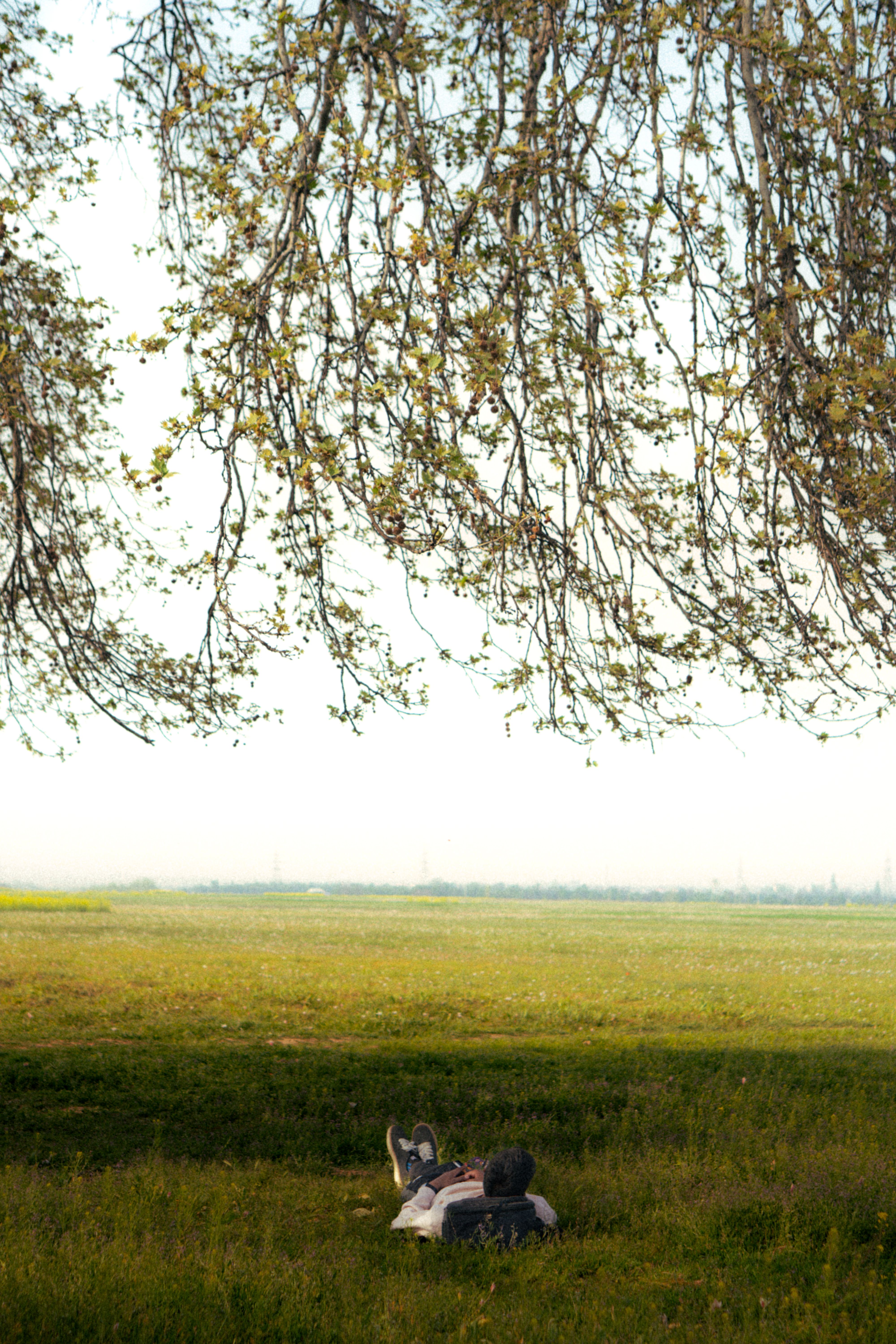 Wallpaper+4k+A+Medieval+Knight+Lying+In+A+Field+Of+Flowers Photos ...