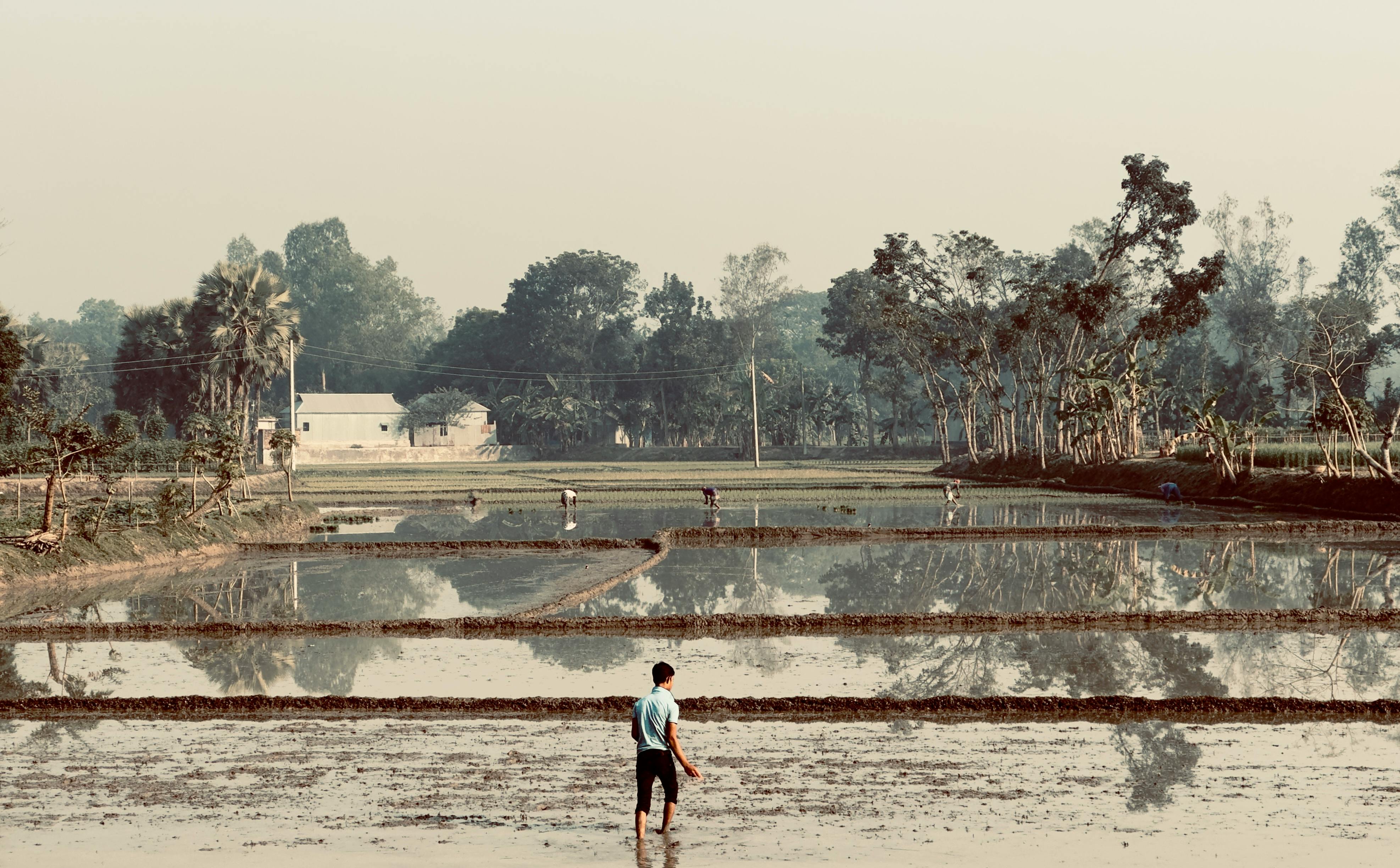 Calm Field With Sunrise Photos, Download The BEST Free Calm Field With ...