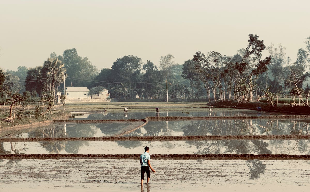 Calm Field With Sunrise Photos, Download The BEST Free Calm Field With Sunrise Stock Photos & HD ...