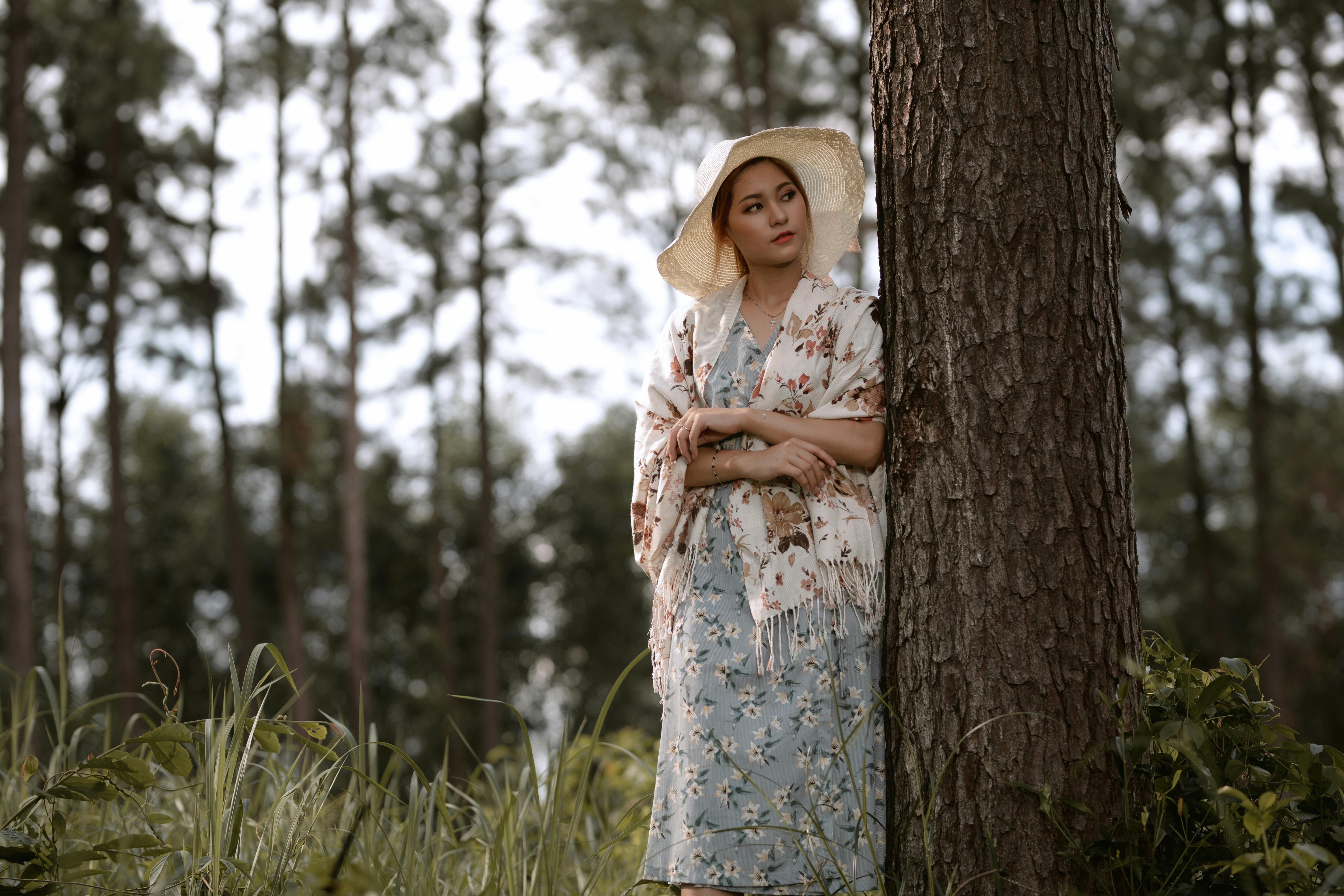 Potrait Forest Tree Photos, Download The BEST Free Potrait Forest Tree ...