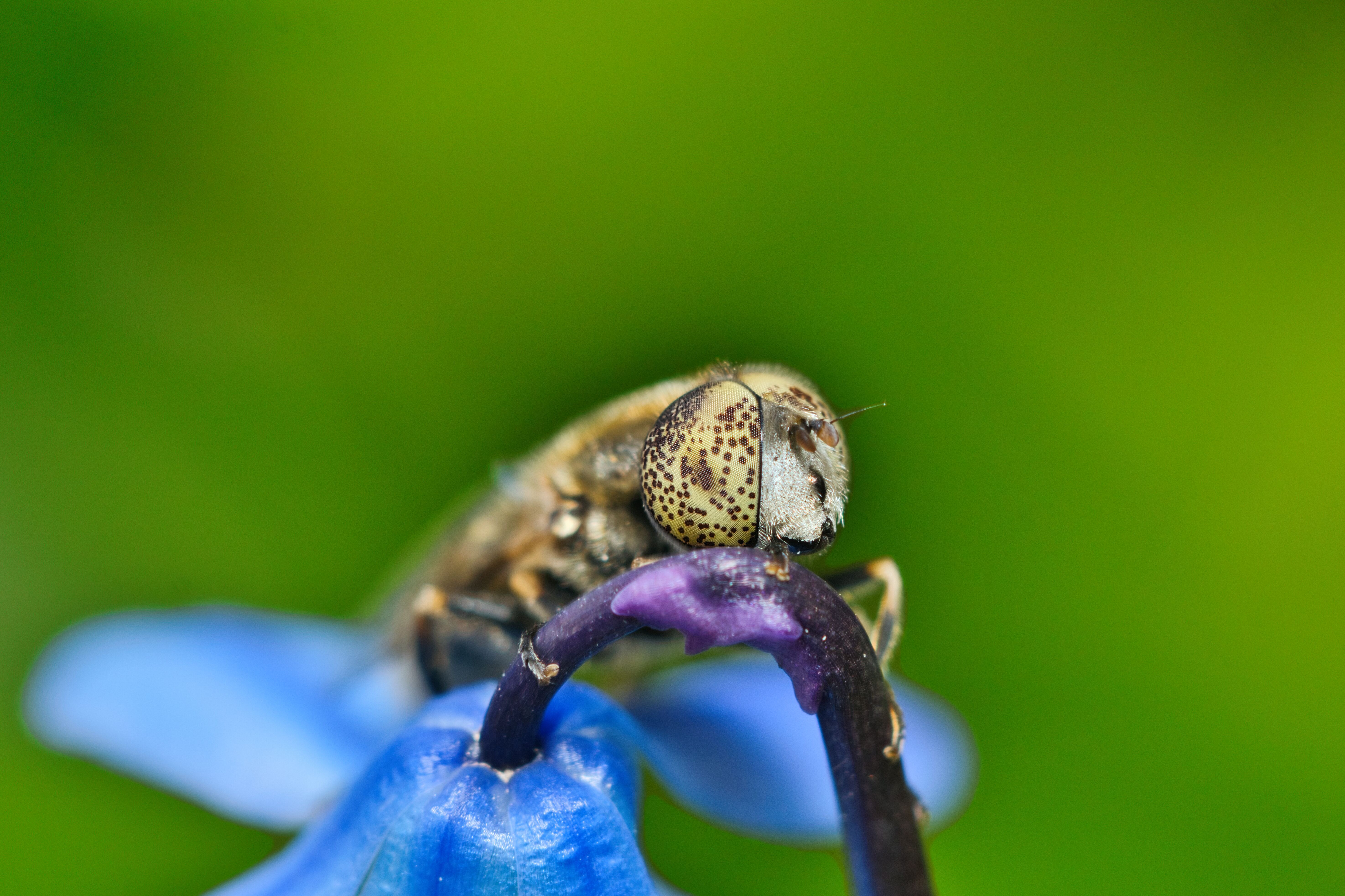 Blue Green Color Nature Photos, Download The BEST Free Blue Green Color ...