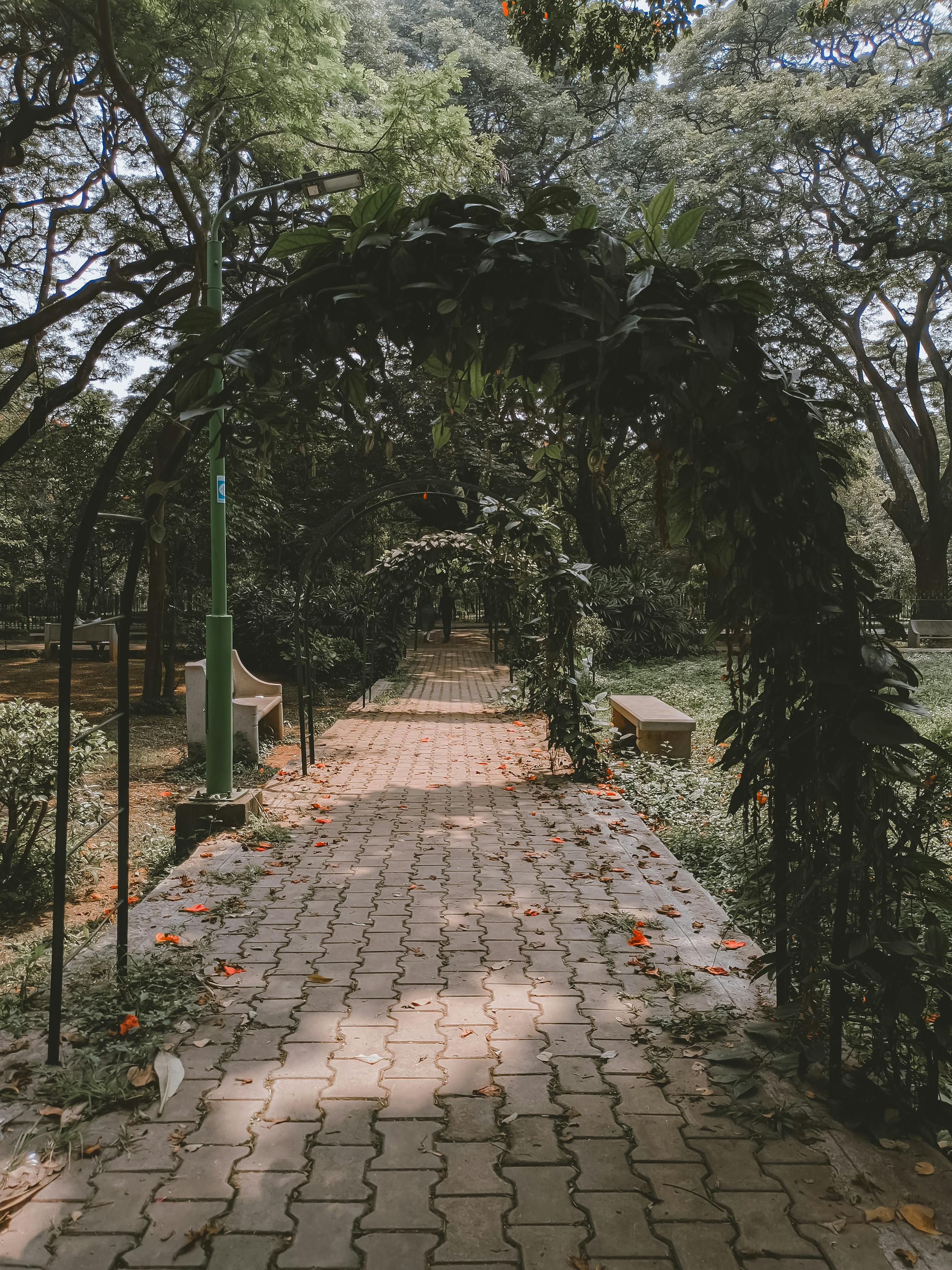Tranquil Tree-covered Pathway in Bengaluru Park · Free Stock Photo