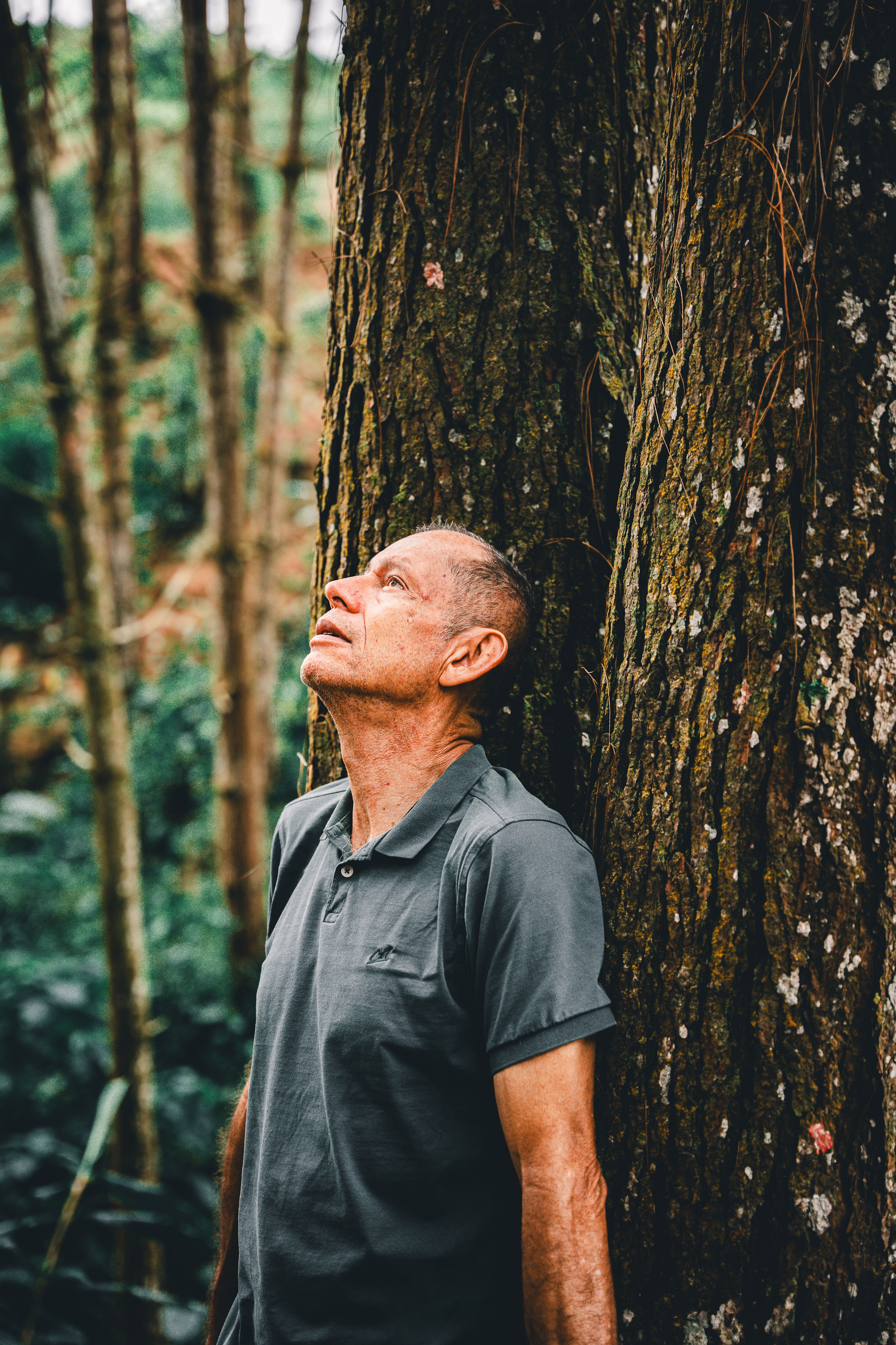 Man Embracing Nature in Serene Forest Setting · Free Stock Photo