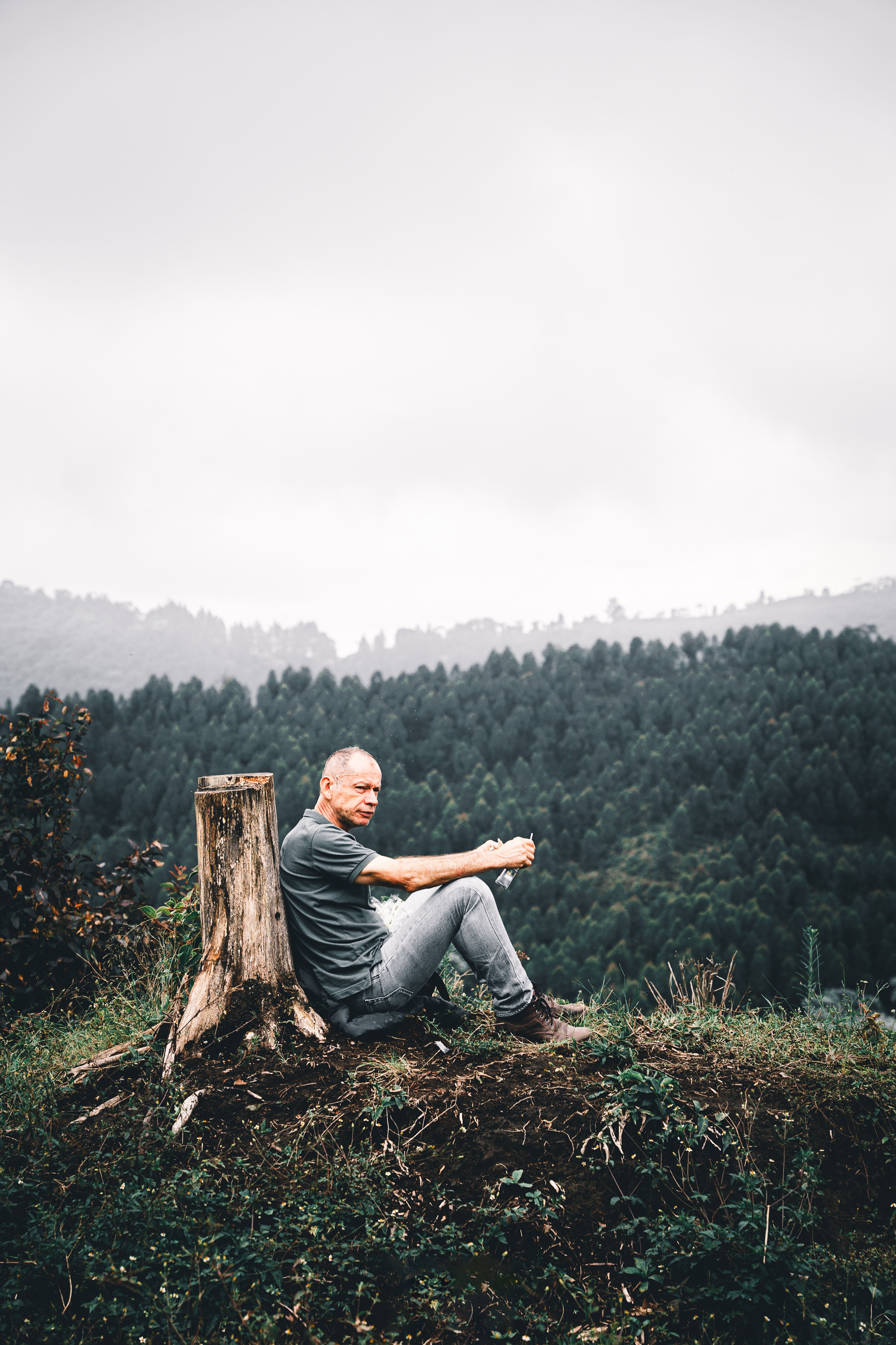 Man Sitting on a Stump in a Pine Forest Landscape · Free Stock Photo