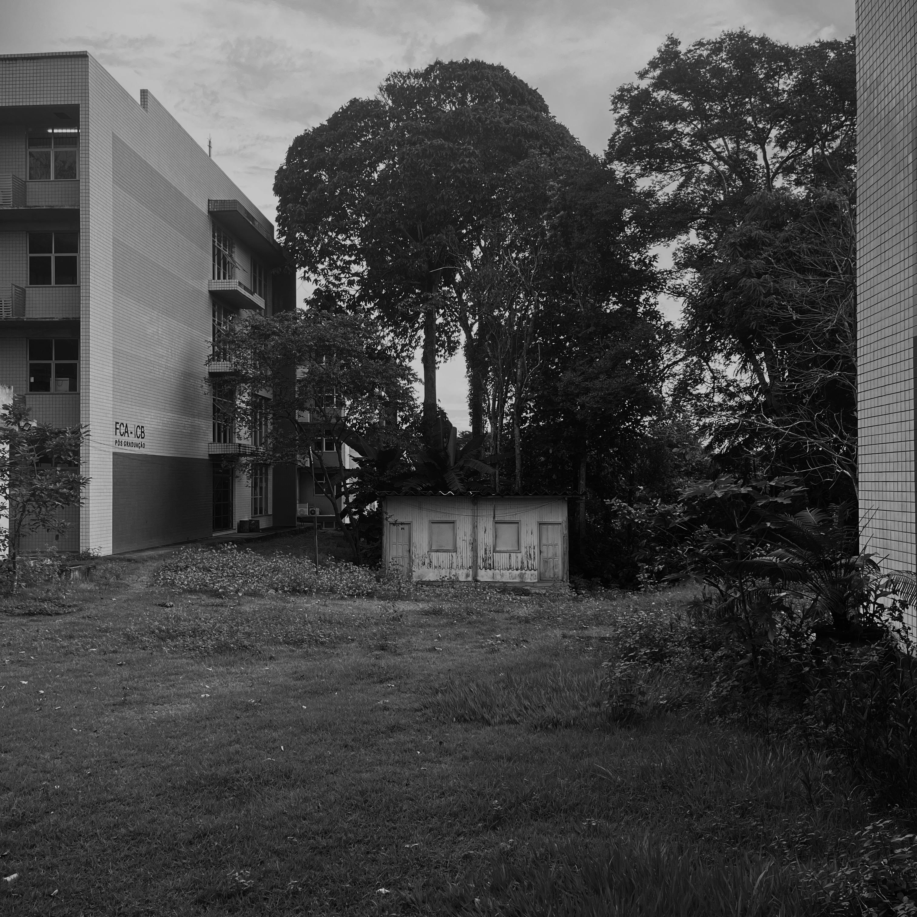 Edificio En Blanco Y Negro En La Selva Amazónica · Foto de stock gratuita