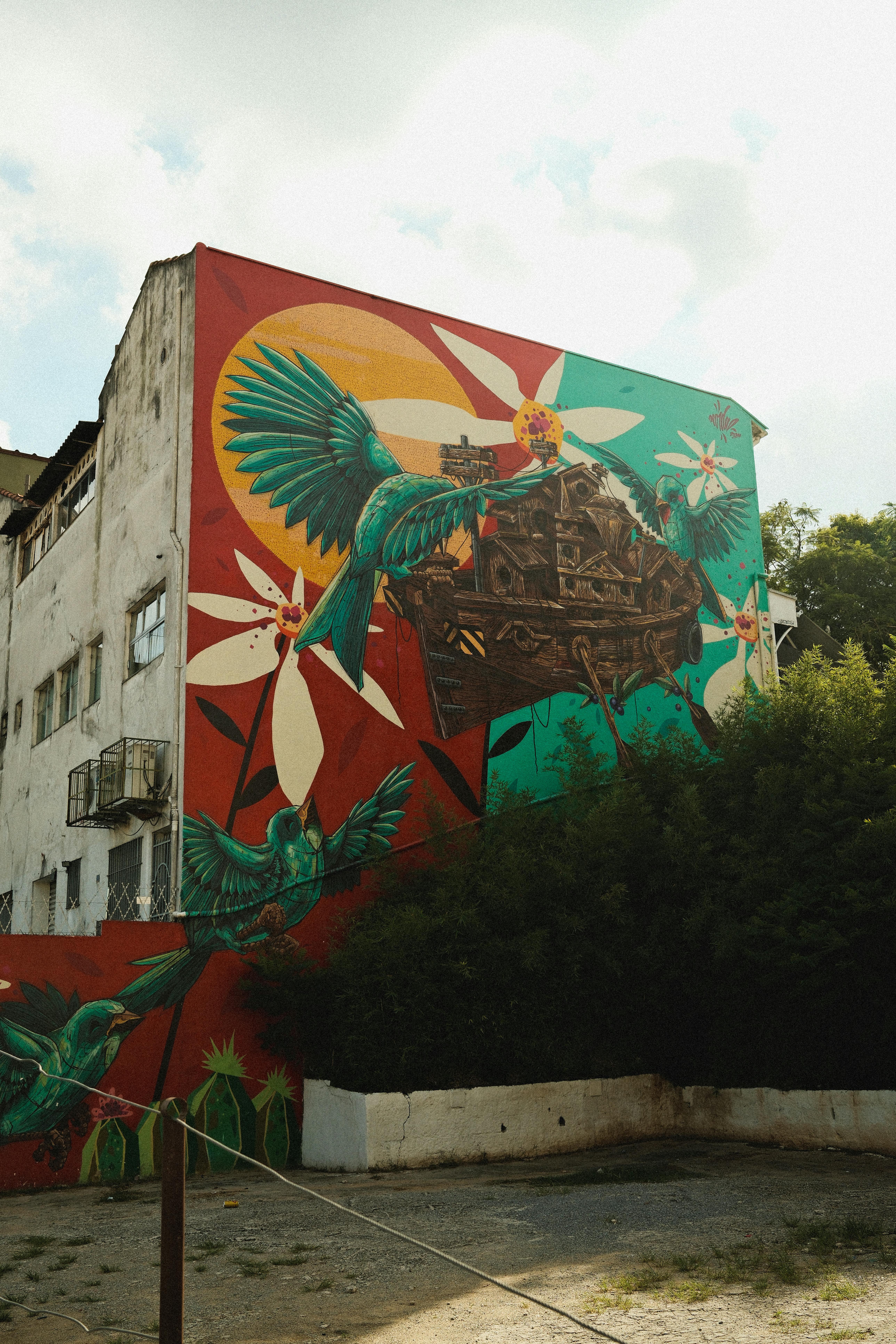 Maccow Parrot Videos Photos, Download The BEST Free Maccow Parrot ...