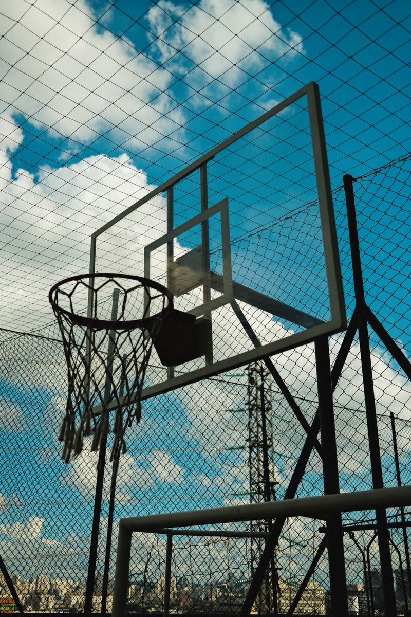Basketball Pfp Photos, Download The BEST Free Basketball Pfp Stock ...