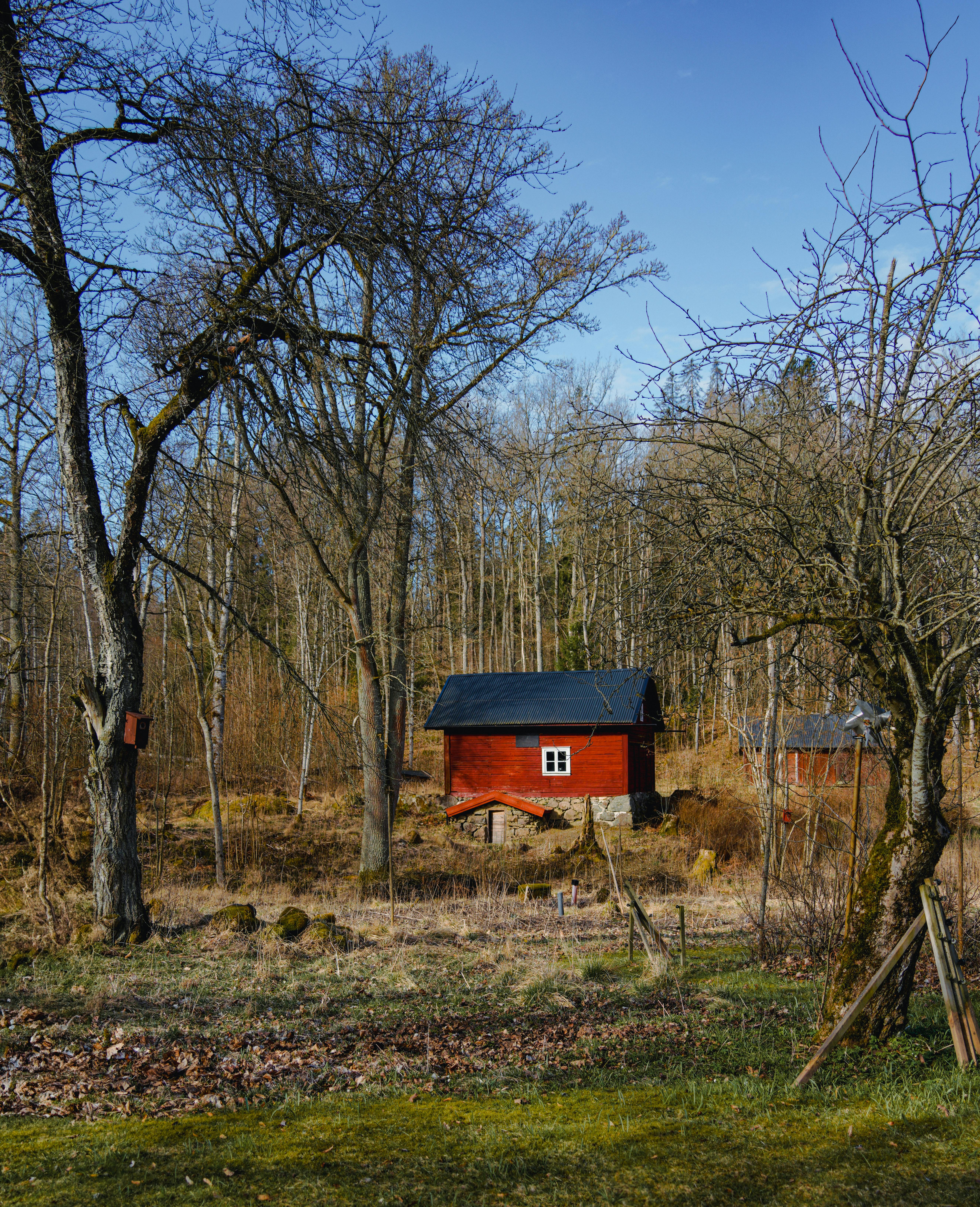 Rustic Red Cabins in Swedish Forest Landscape · Free Stock Photo