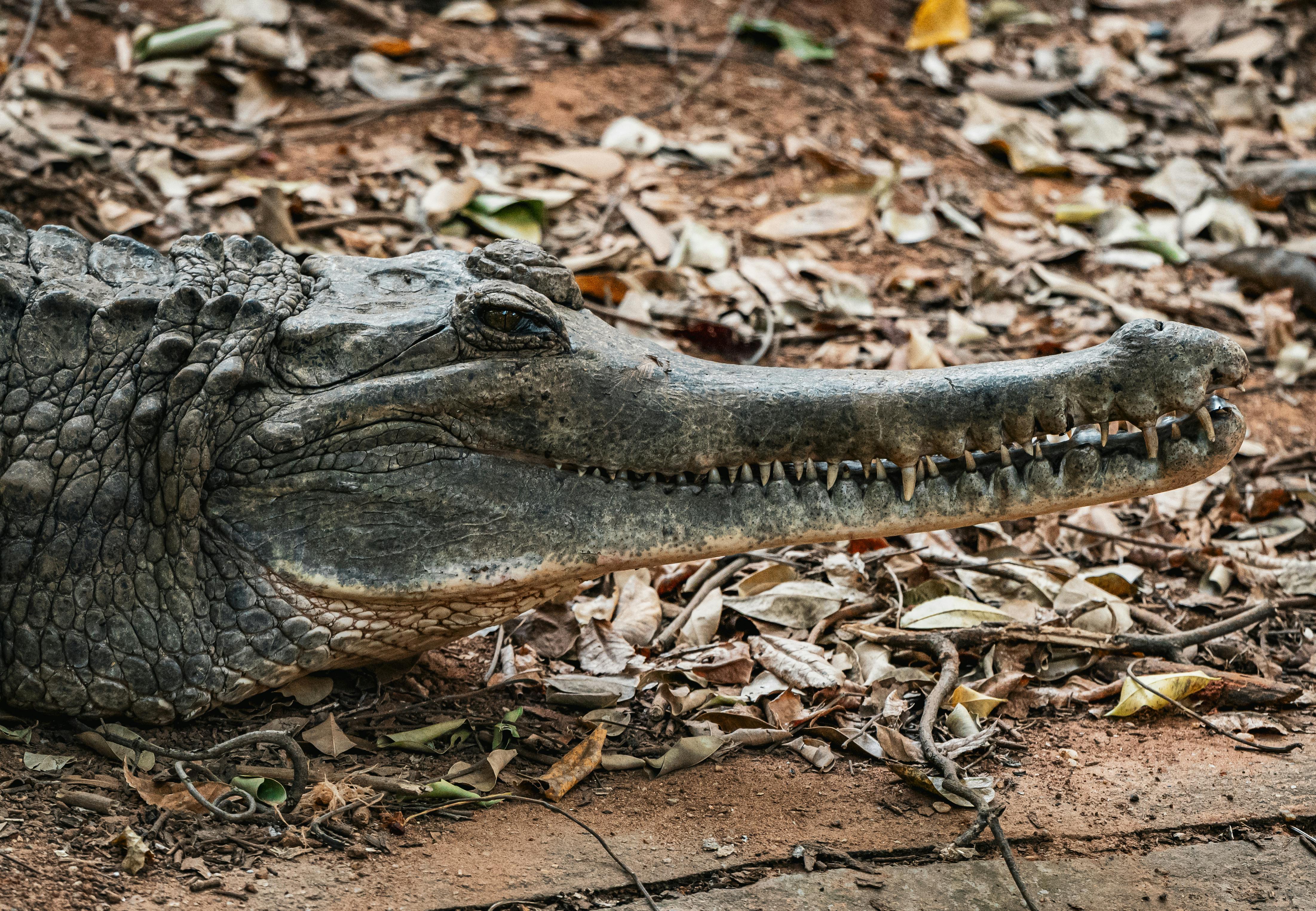 Free Texture Background Photos, Download The BEST Free Free Texture ...