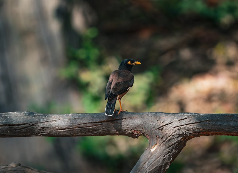 Free Photos Photos, Download The BEST Free Free Photos Stock Photos ...